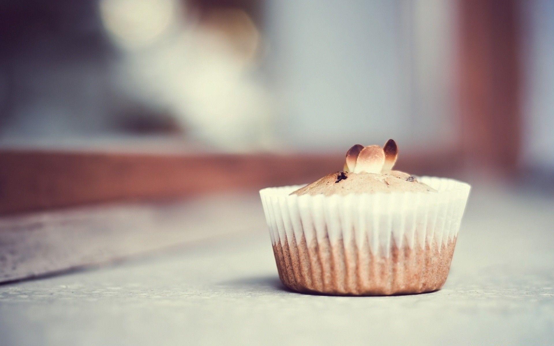 Muffin Wallpapers - Top Free Muffin Backgrounds - WallpaperAccess