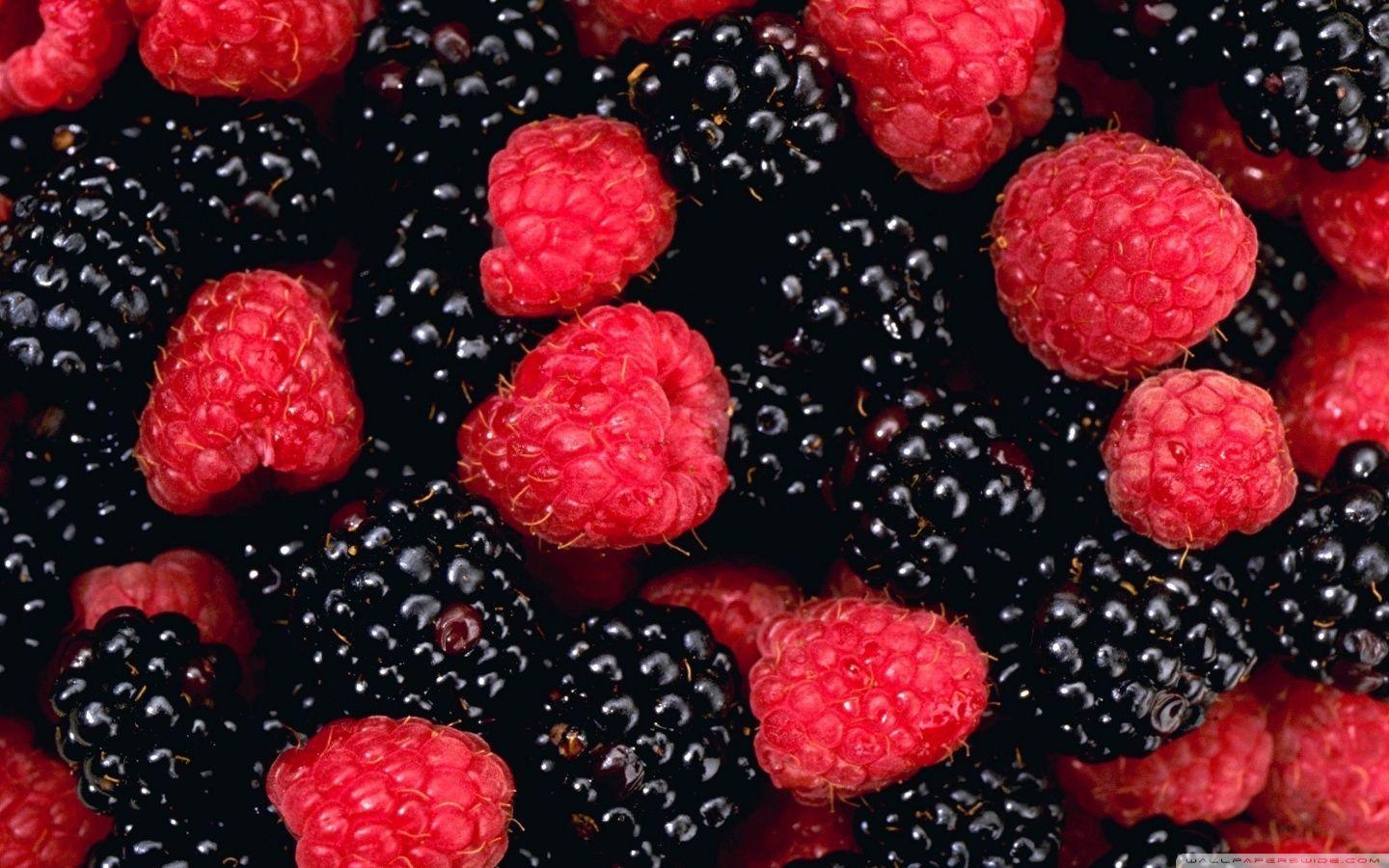 Berries Wallpapers - Top Free Berries Backgrounds - WallpaperAccess
