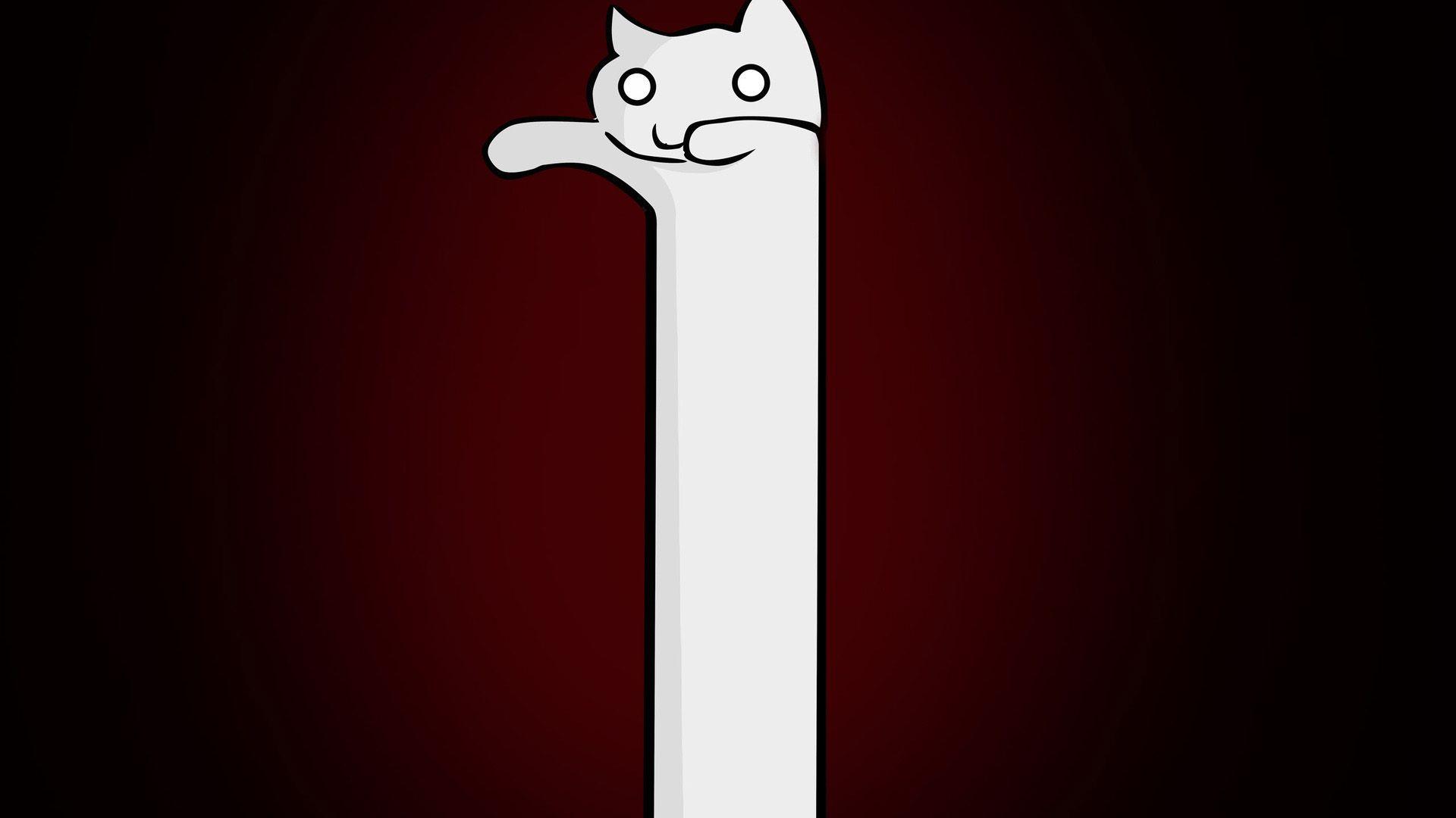 Animal Meme Wallpapers - Top Free Animal Meme Backgrounds - WallpaperAccess