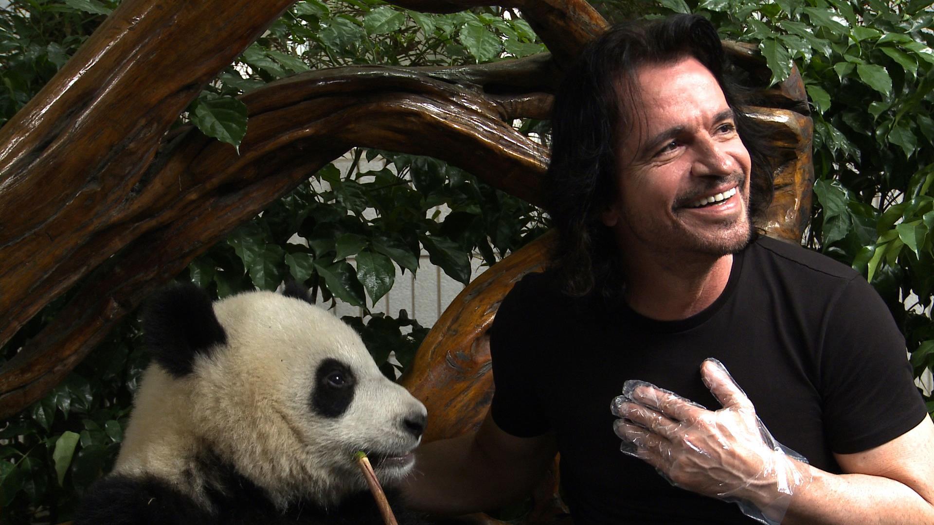 Yanni Wallpapers - Top Free Yanni Backgrounds - WallpaperAccess