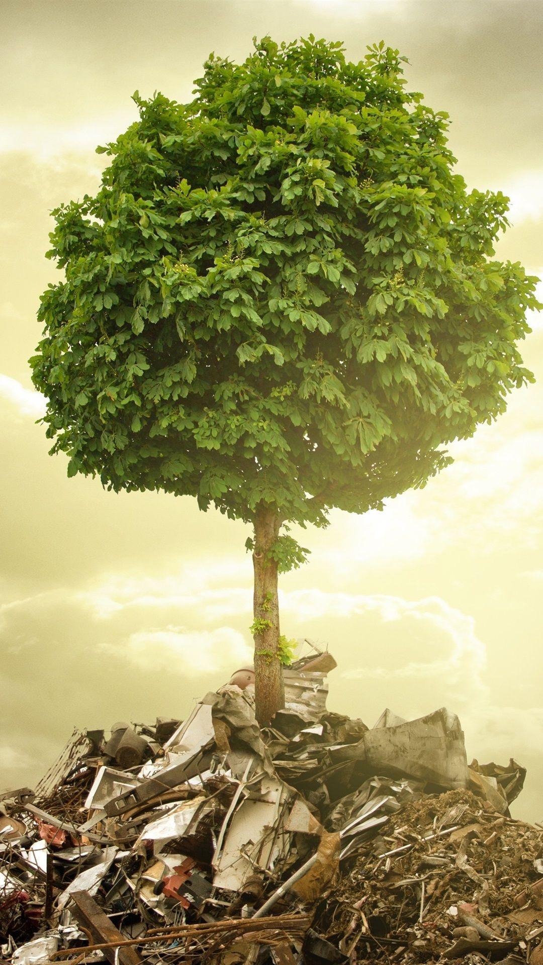 Garbage Wallpapers - Top Free Garbage Backgrounds - WallpaperAccess