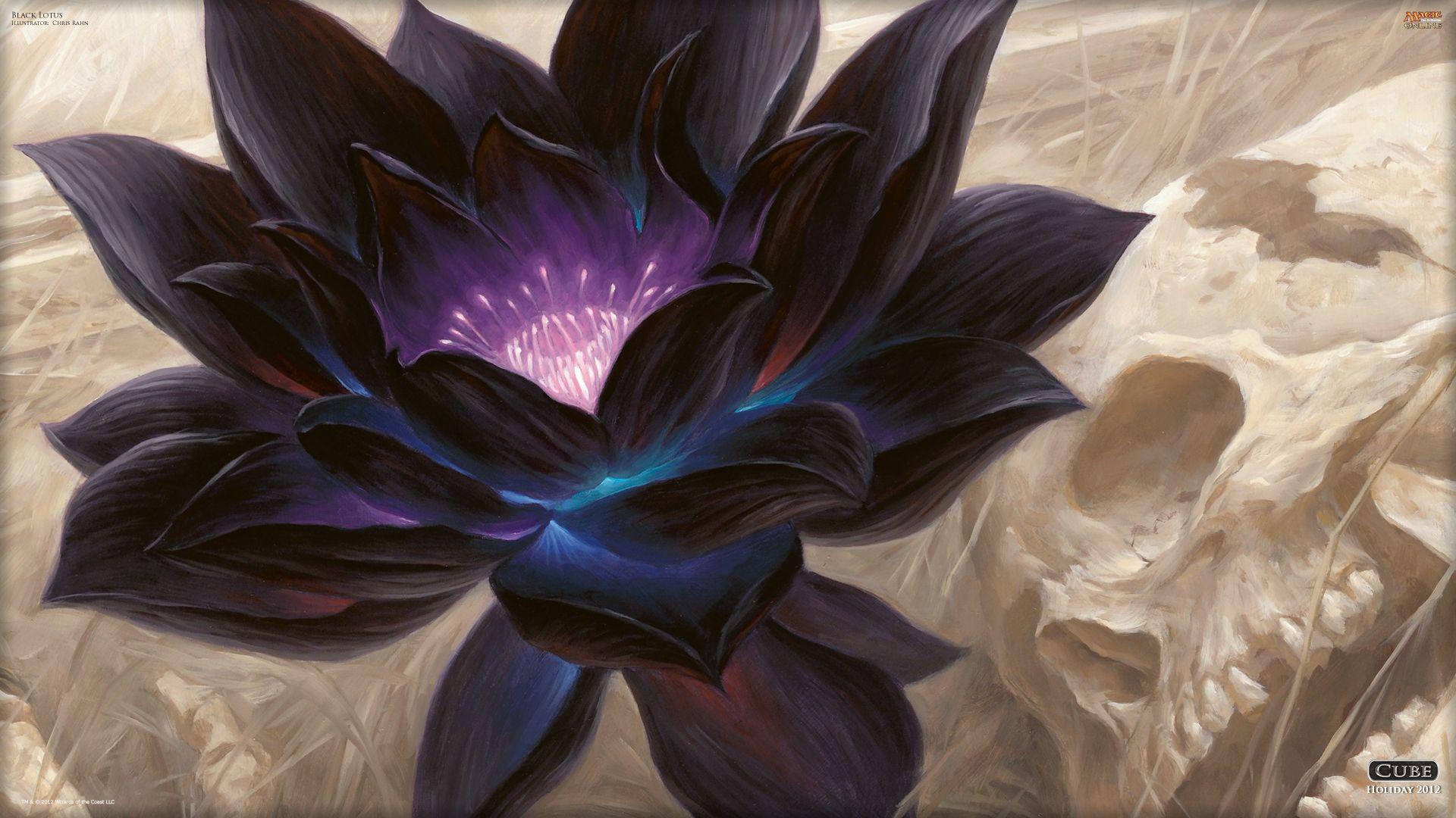 Magic Computer HD Wallpapers - Top Free Magic Computer HD Backgrounds ...