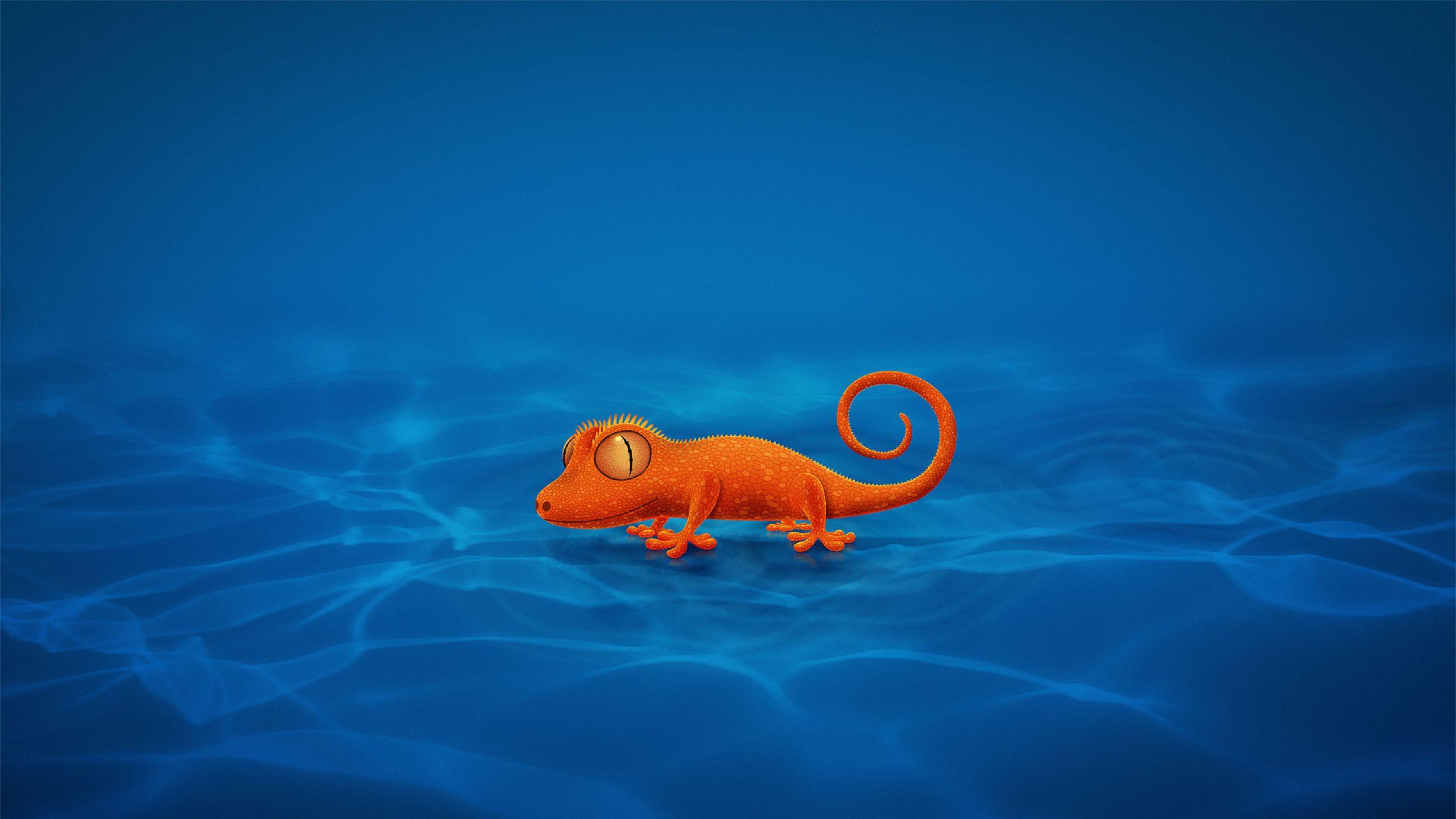 Creative HD 4K Wallpapers - Top Free Creative HD 4K Backgrounds ...