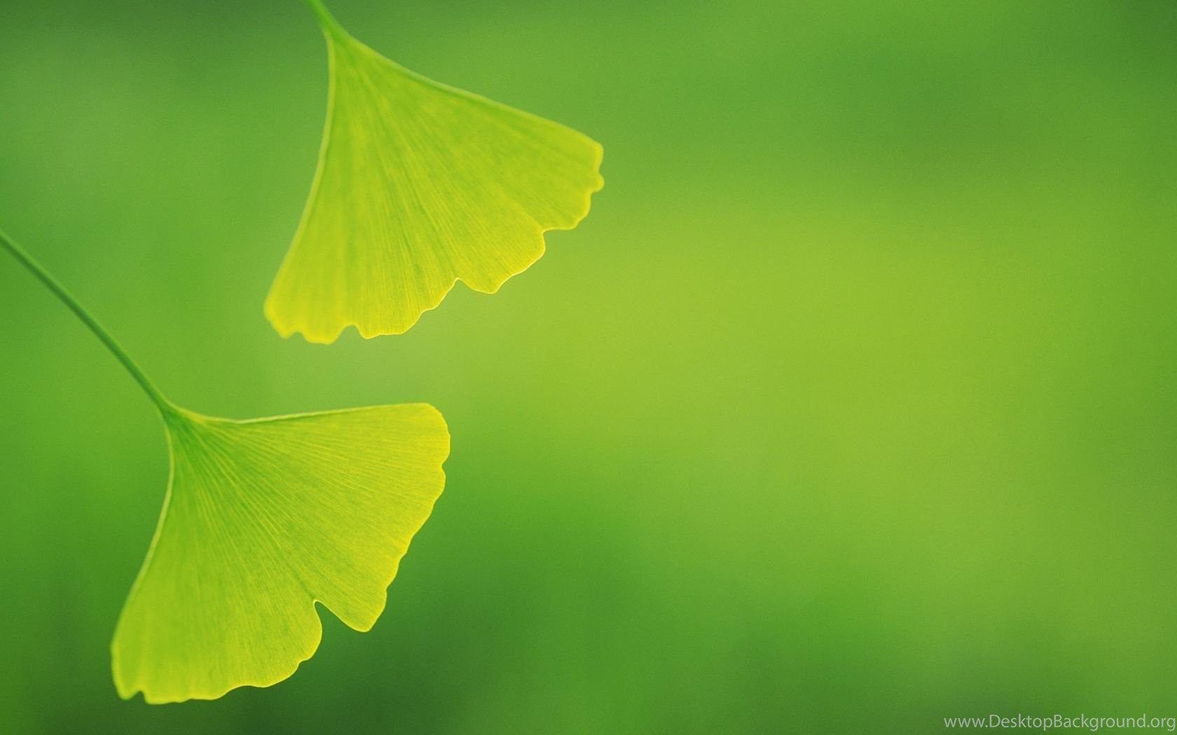 Biotechnology Desktop Wallpapers - Top Free Biotechnology Desktop ...