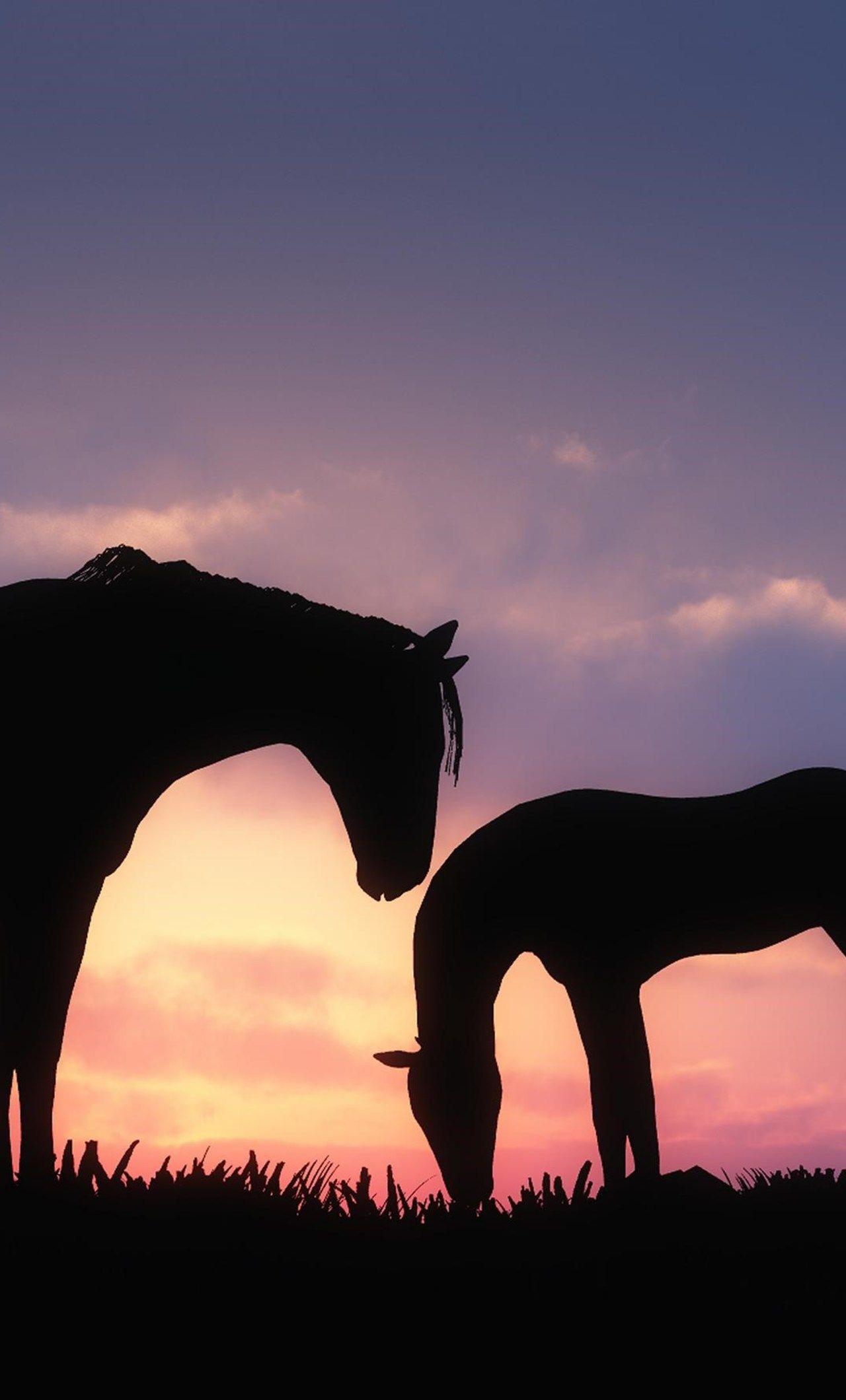 Horse Sunset 4K Wallpapers - Top Free Horse Sunset 4K Backgrounds ...