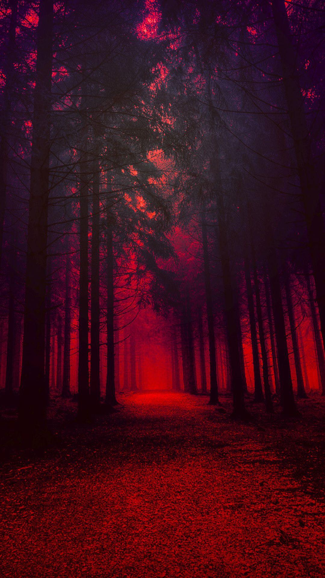Red Forest 4K Wallpapers - Top Free Red Forest 4K Backgrounds ...