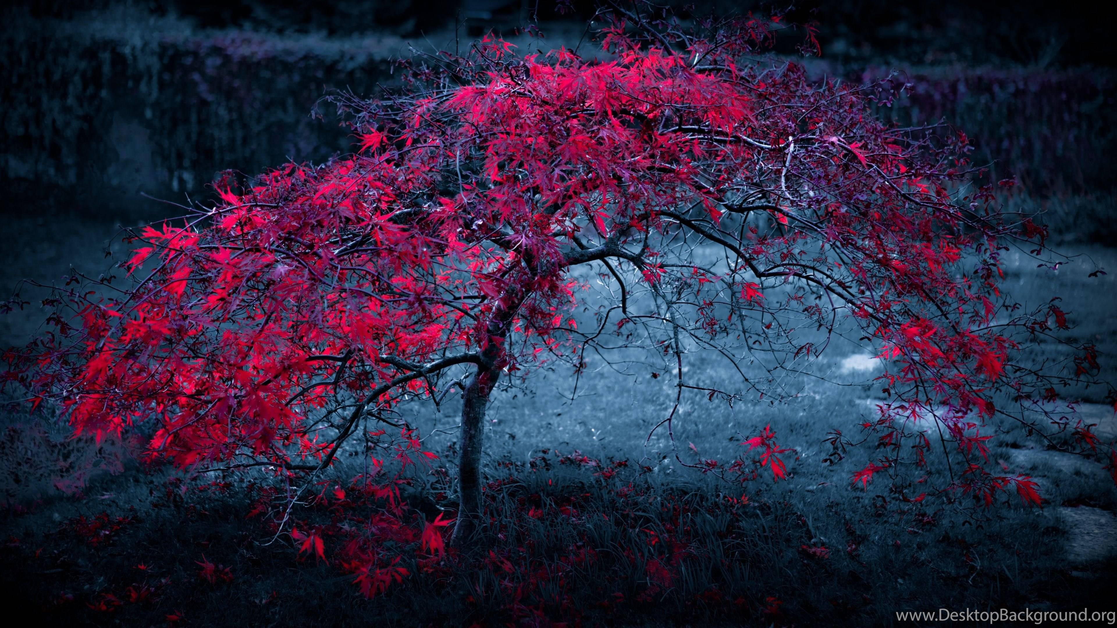 4K Desktop HD Wallpapers - Top Free 4K Desktop HD Backgrounds ...