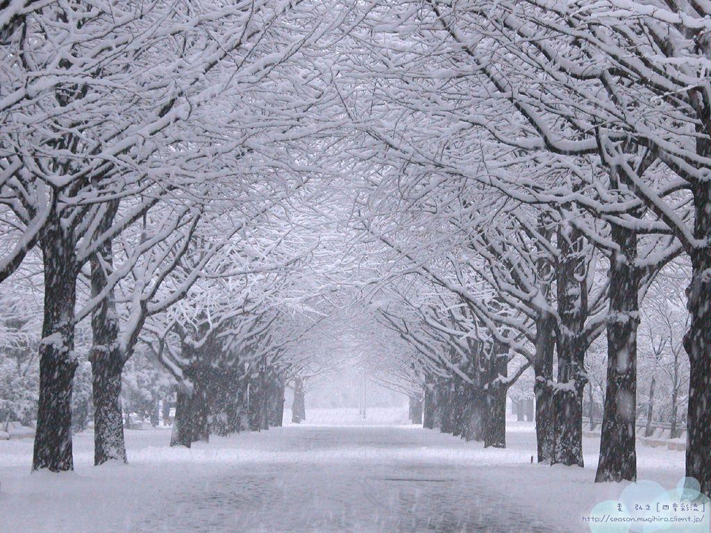 Tokyo Snow Wallpapers - Top Free Tokyo Snow Backgrounds - WallpaperAccess