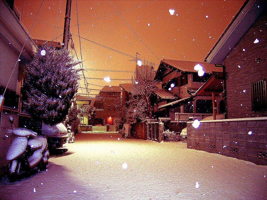 Tokyo Snow Wallpapers - Top Free Tokyo Snow Backgrounds - WallpaperAccess