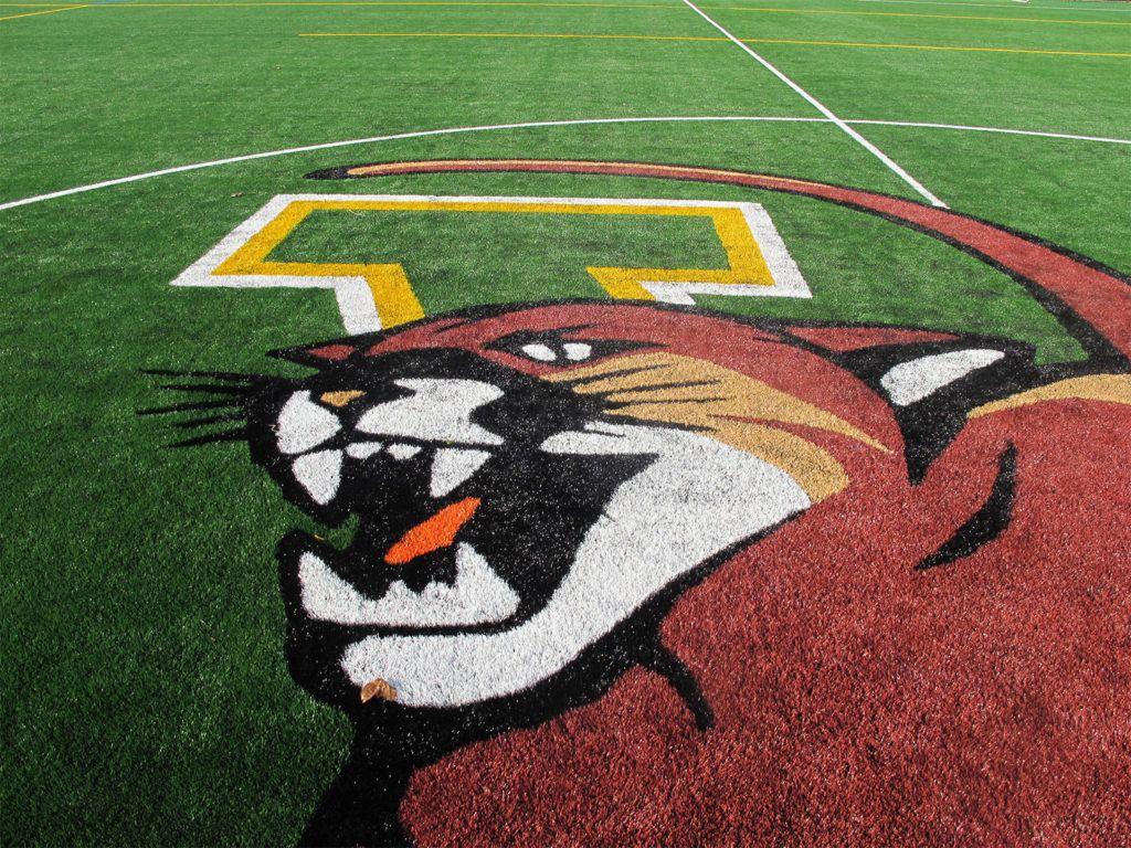 UVM Wallpapers - Top Free UVM Backgrounds - WallpaperAccess