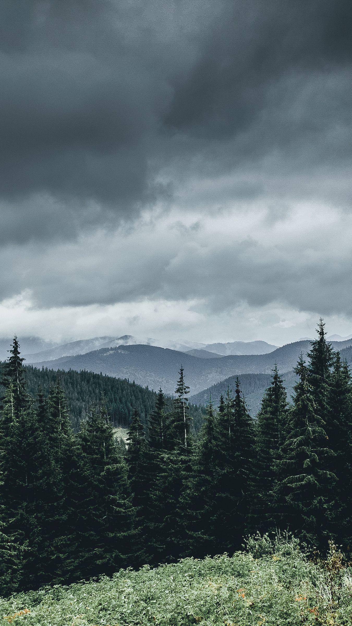 Forest Mountain Wallpapers - Top Free Forest Mountain Backgrounds ...