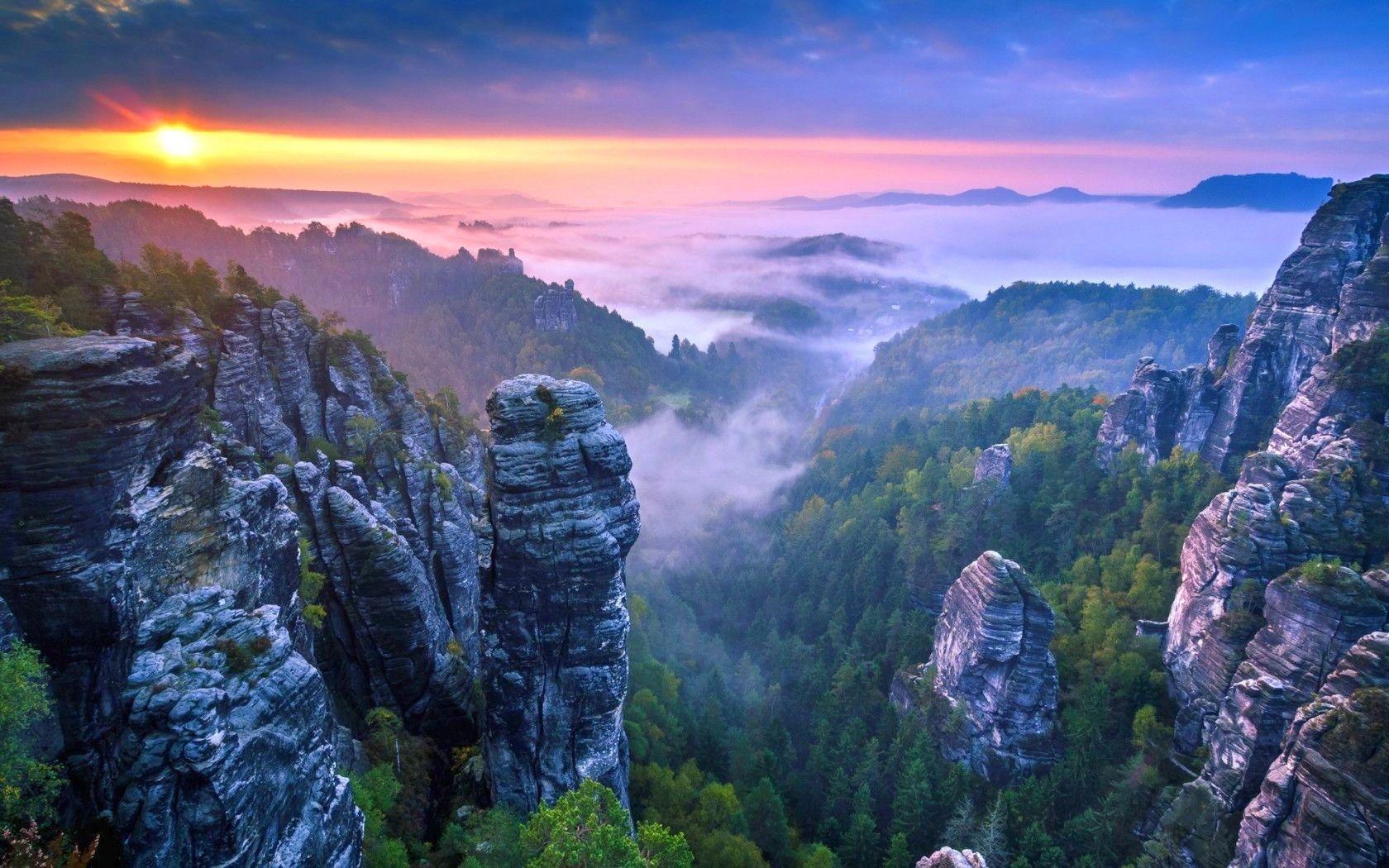 Sunrise Forest Wallpapers - Top Free Sunrise Forest Backgrounds ...