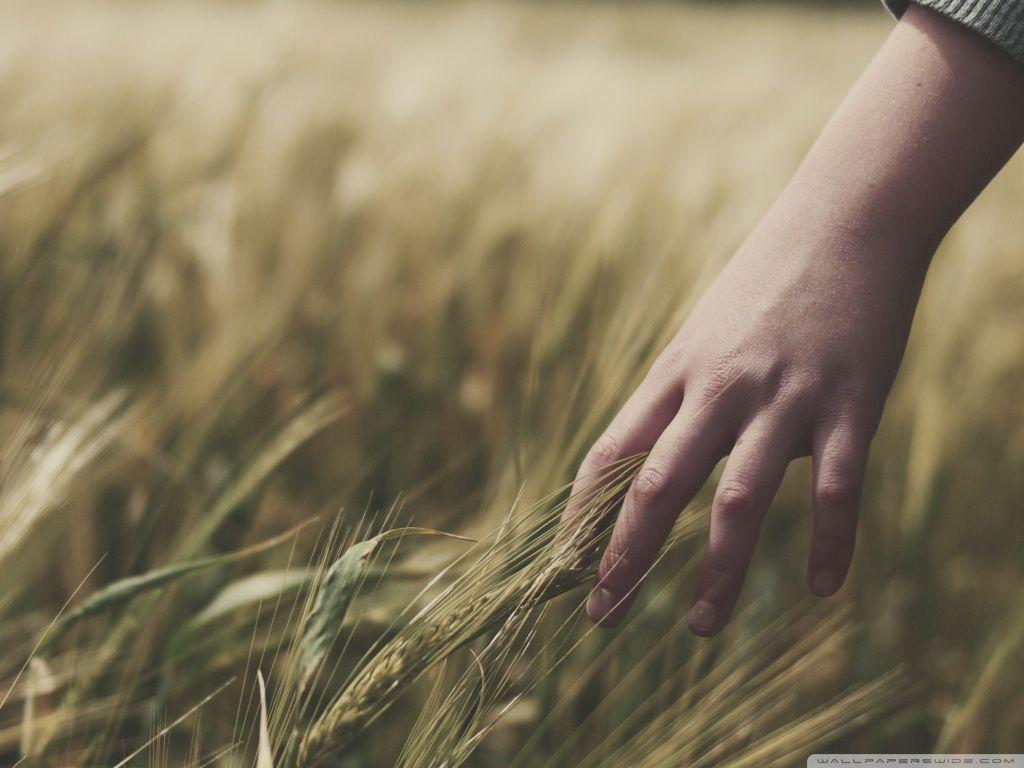 Feelings Wallpapers - Top Free Feelings Backgrounds - WallpaperAccess