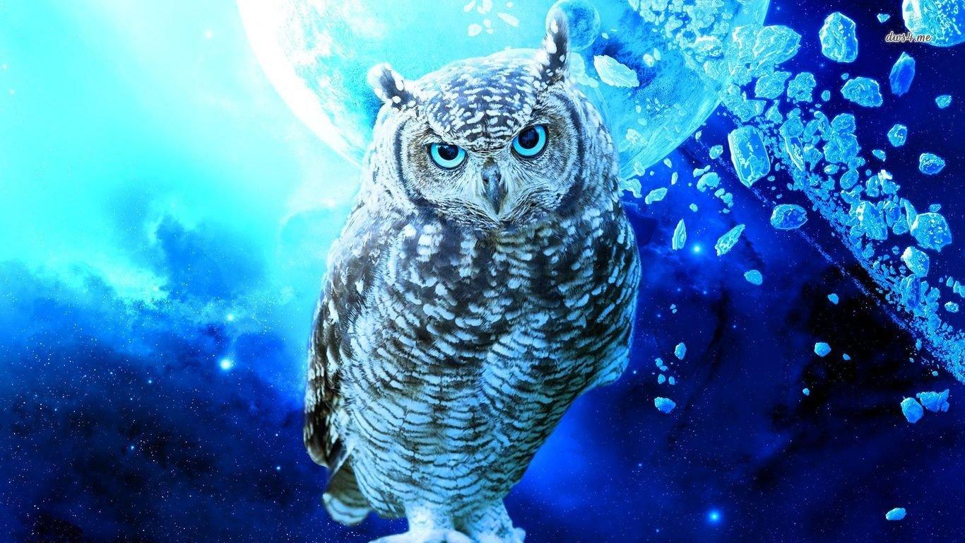 Owl Laptop Wallpapers - Top Free Owl Laptop Backgrounds - WallpaperAccess