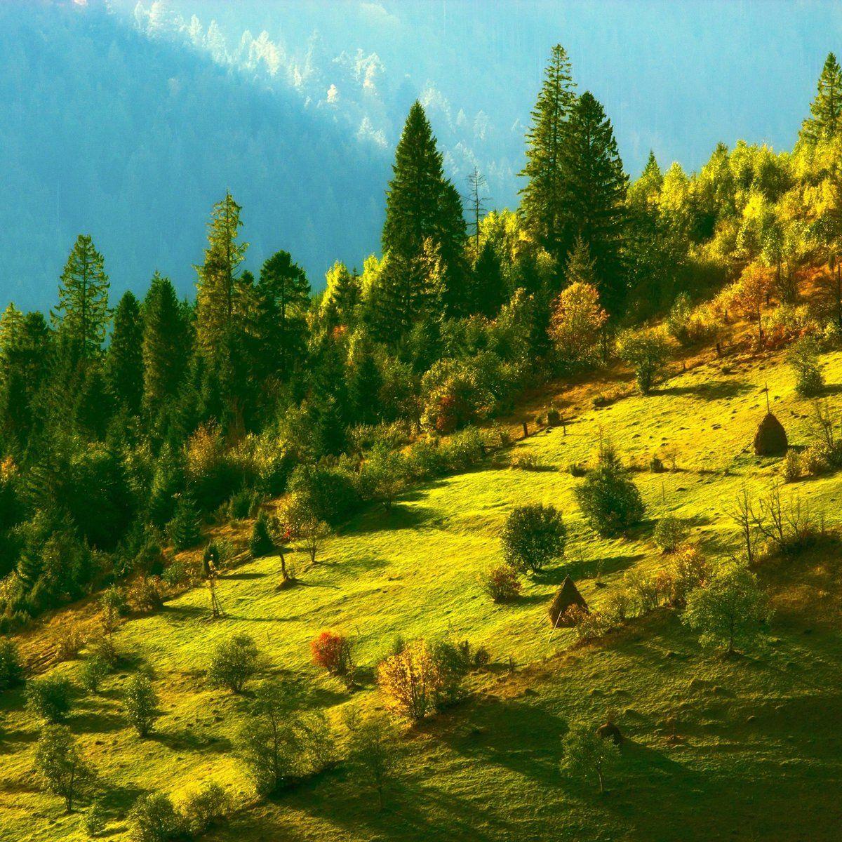 Good Mood Wallpapers - Top Free Good Mood Backgrounds - WallpaperAccess