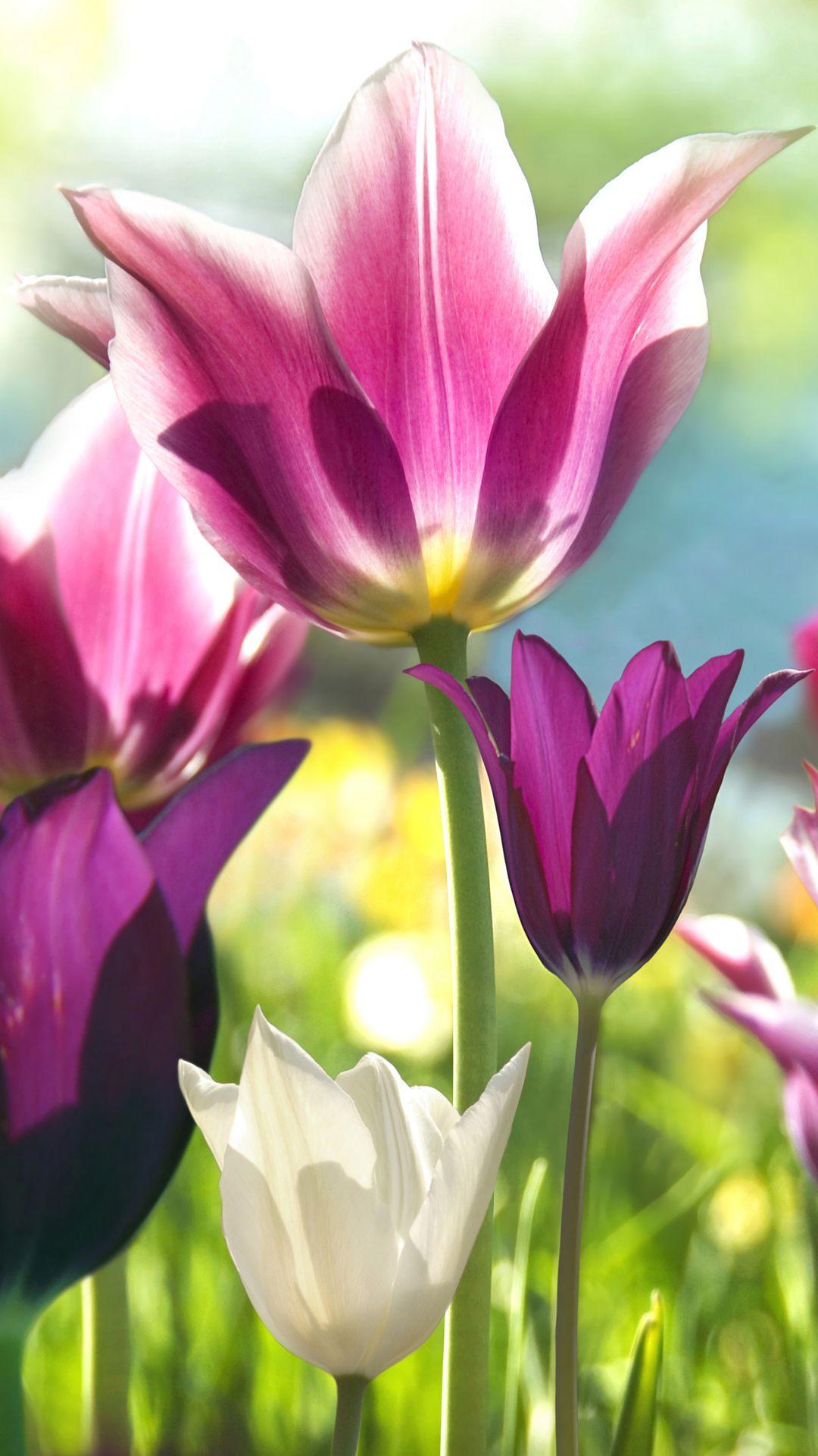 Good Mood Wallpapers - Top Free Good Mood Backgrounds - WallpaperAccess