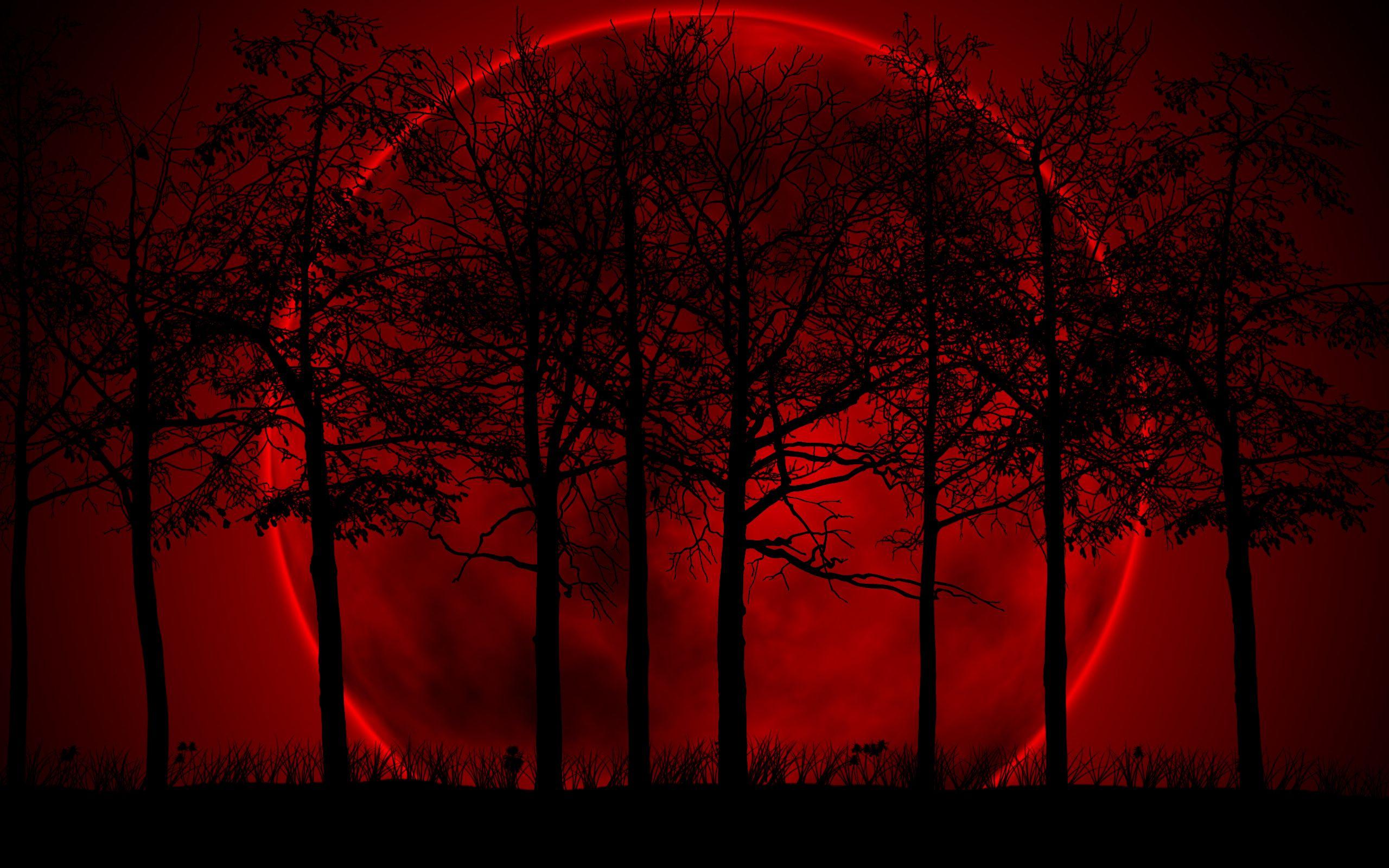 Red Moon Night Sky Wallpapers - Top Free Red Moon Night Sky Backgrounds ...
