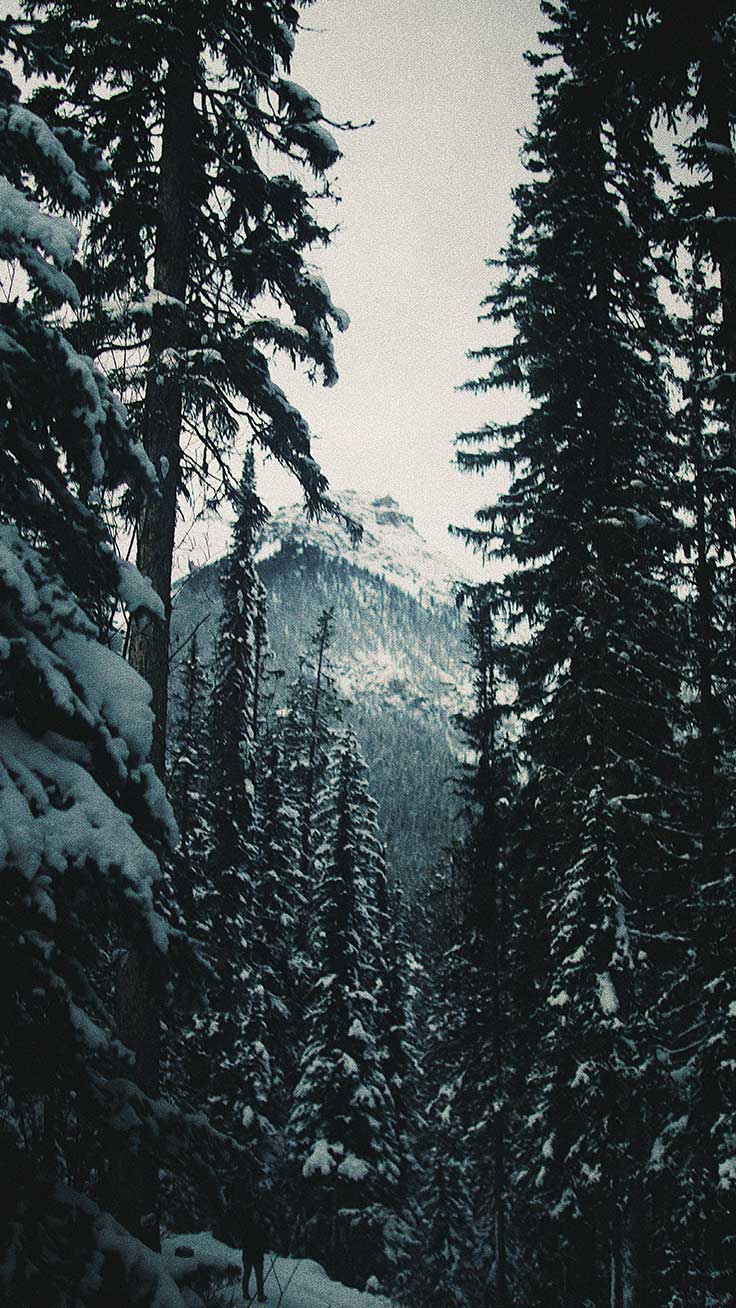 Pinterest Winter Wallpapers - Top Free Pinterest Winter Backgrounds ...