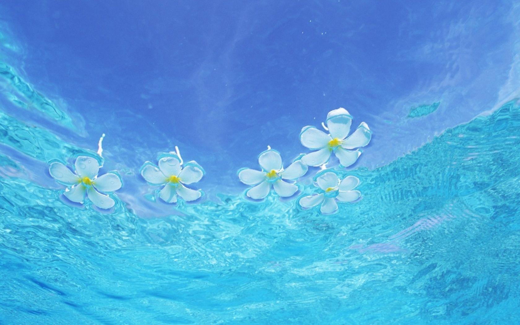 Water Computer Wallpapers - Top Free Water Computer Backgrounds ...