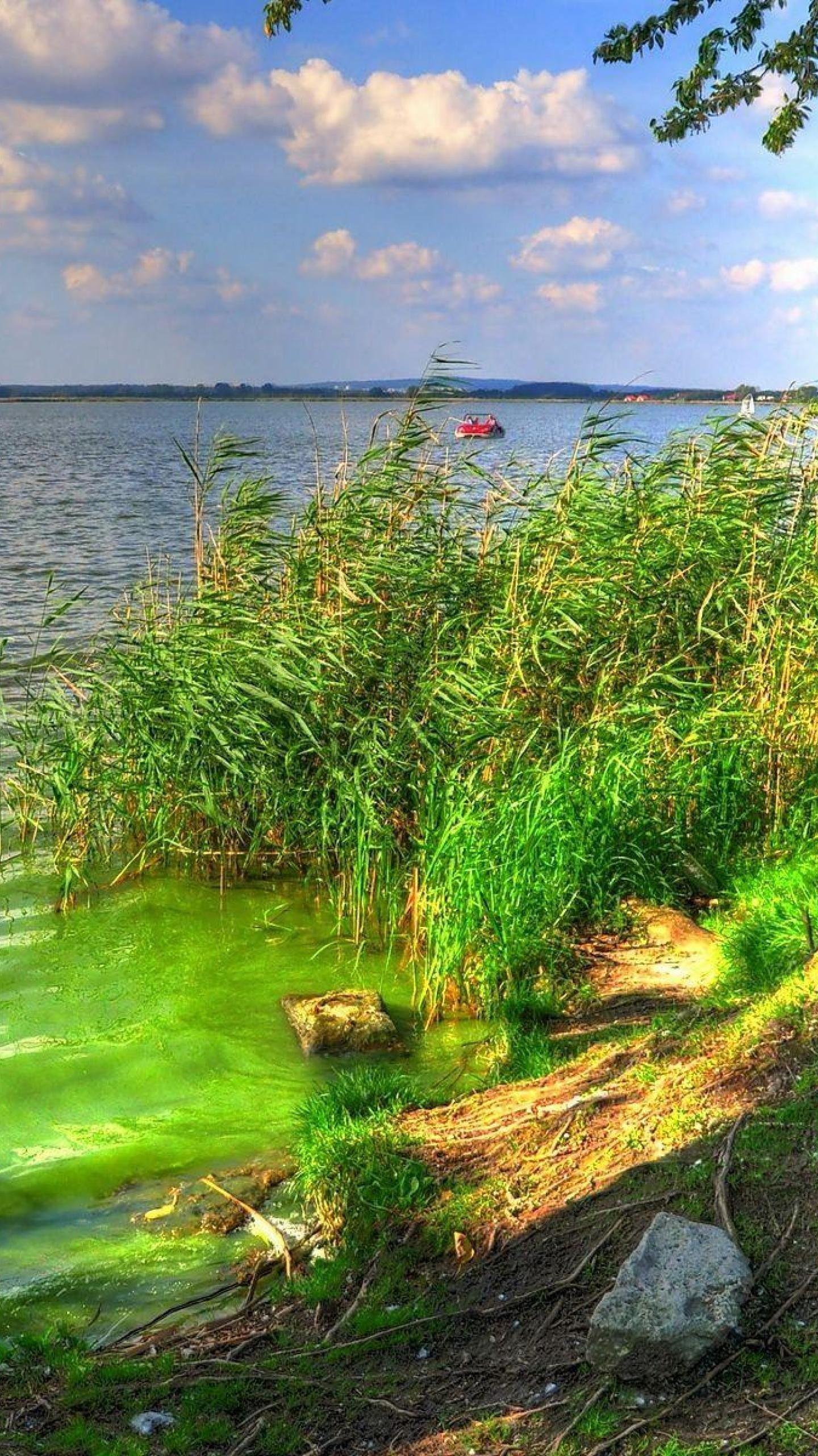 Nature Android Wallpapers - Top Free Nature Android Backgrounds ...