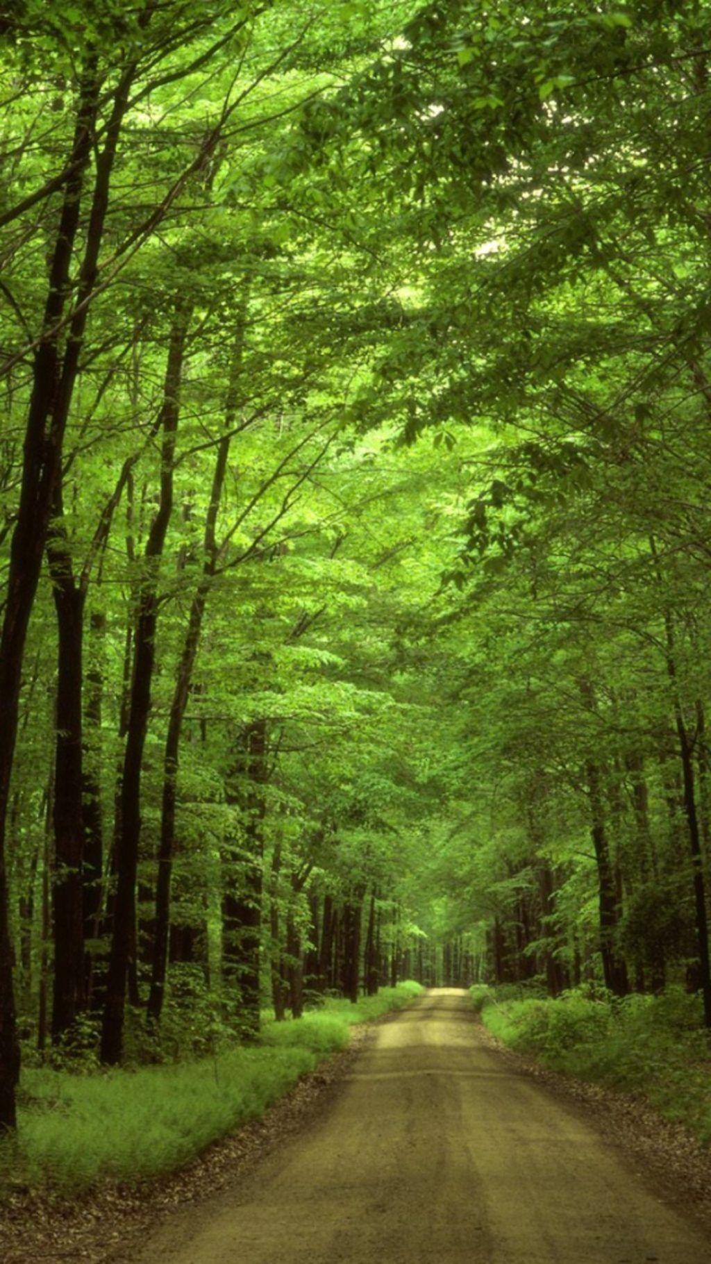 Nature Android Wallpapers - Top Free Nature Android Backgrounds ...