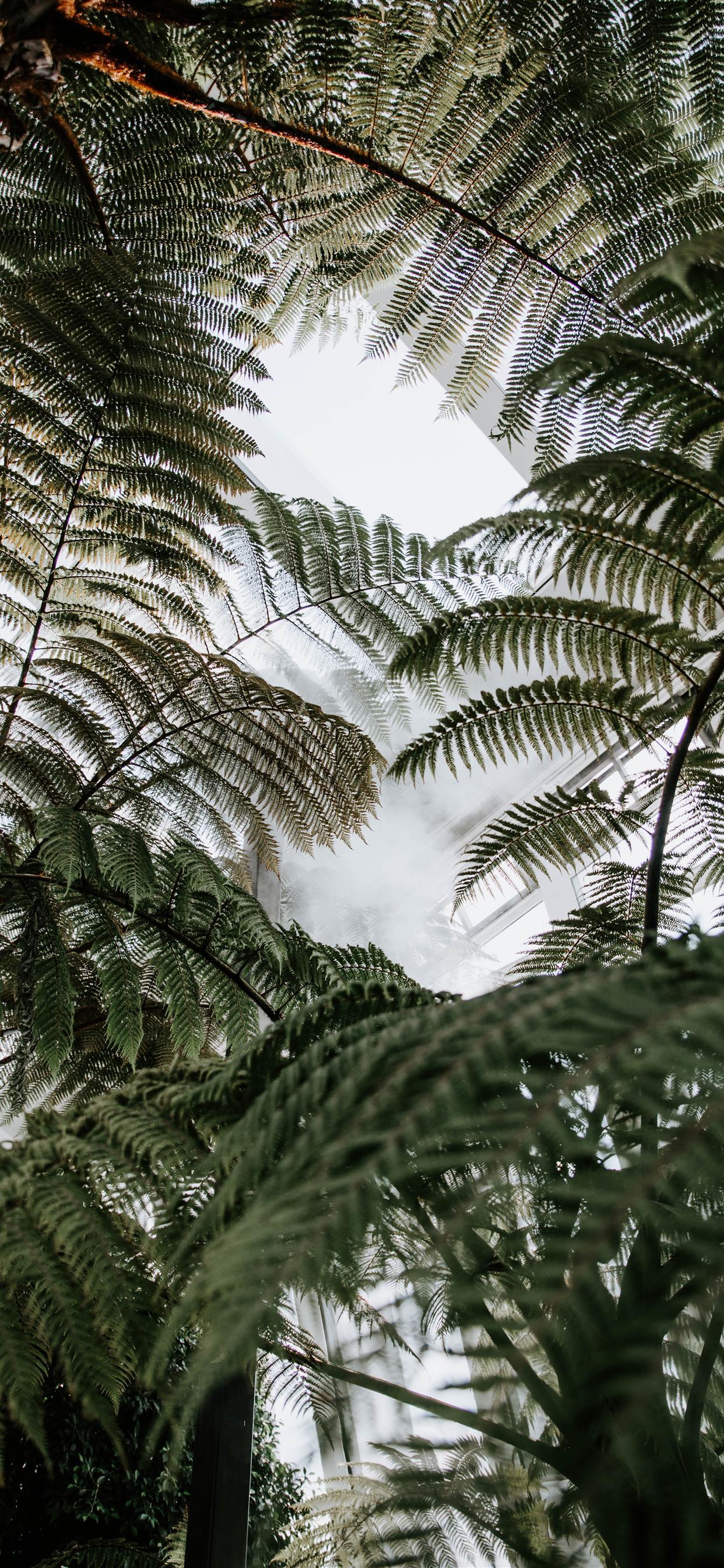 Garden iPhone Wallpapers - Top Free Garden iPhone Backgrounds ...