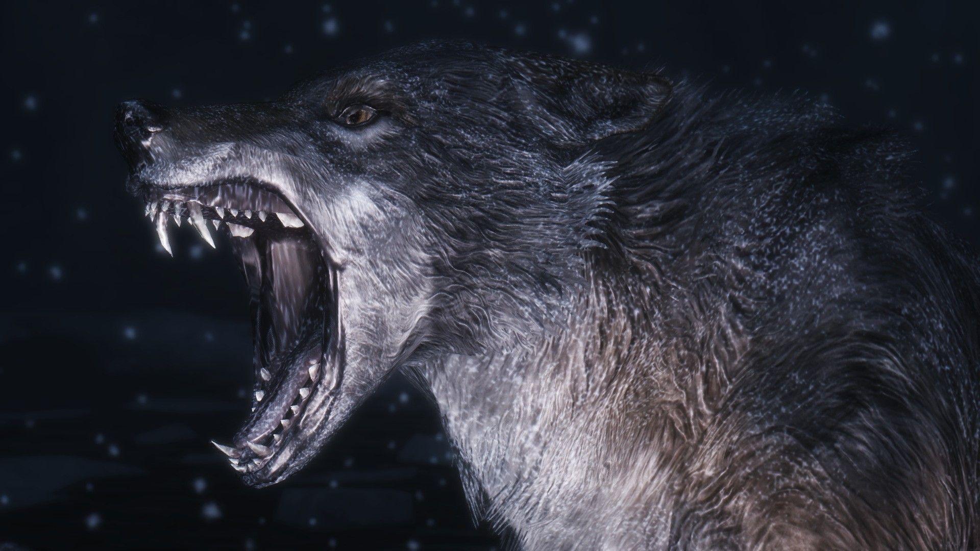 1920X1080 HD Wolf Wallpapers - Top Free 1920X1080 HD Wolf Backgrounds ...