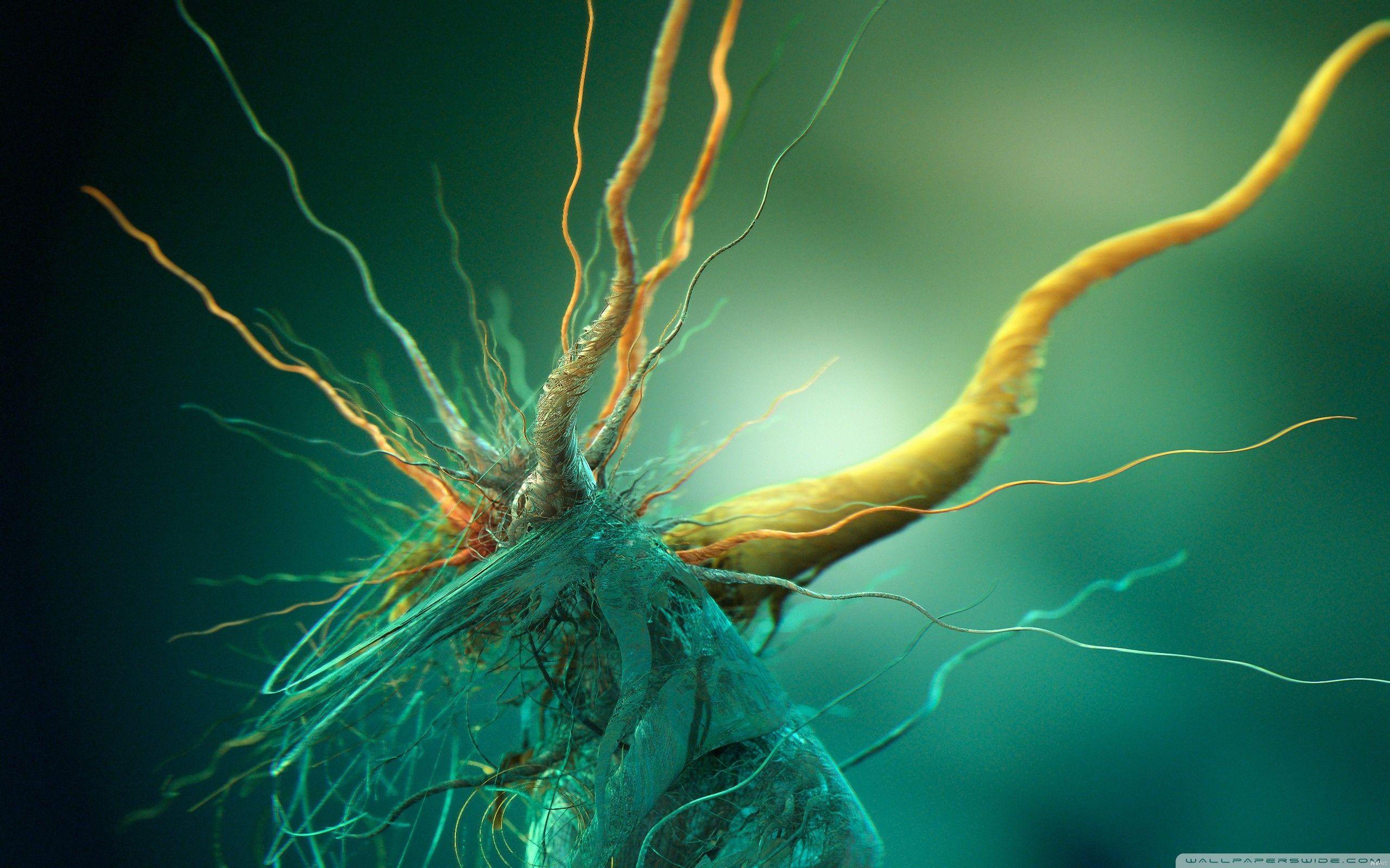 Growth Wallpapers - Top Free Growth Backgrounds - WallpaperAccess