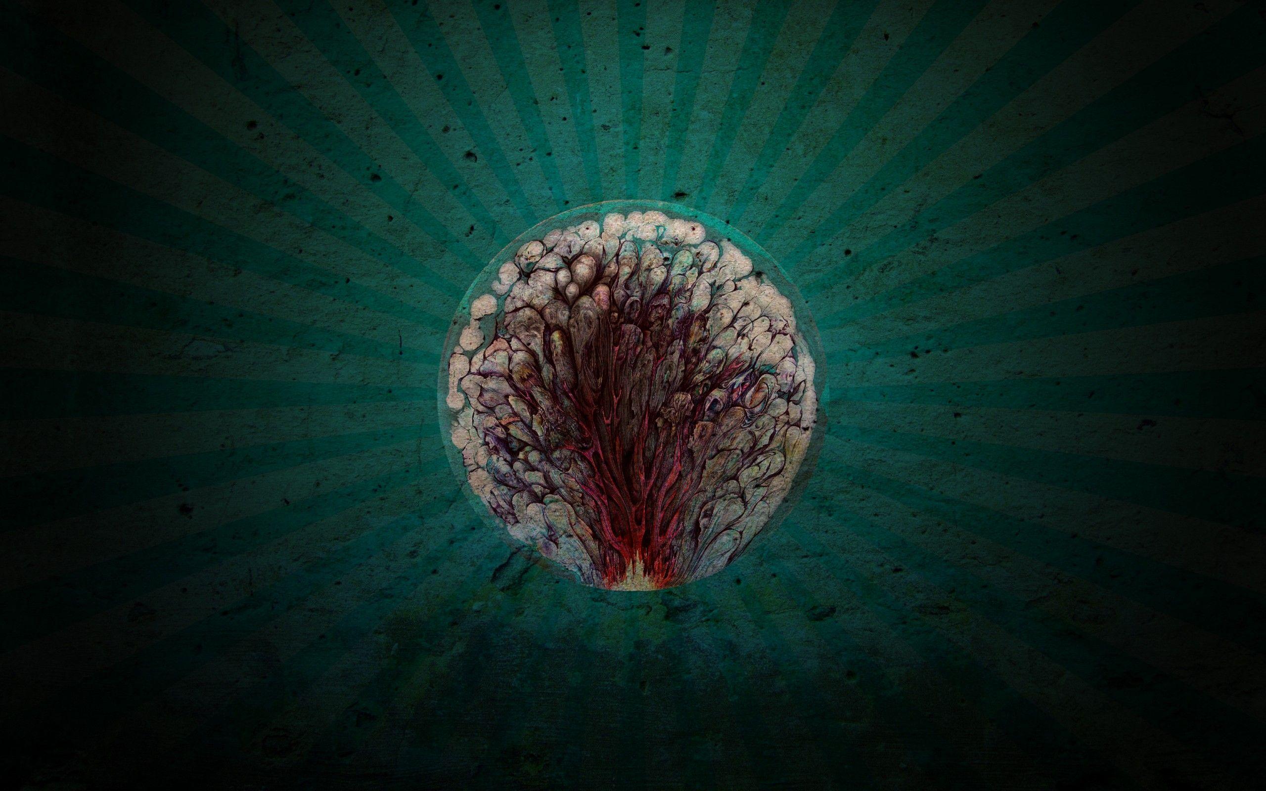 Abstract Brain Wallpapers - Top Free Abstract Brain Backgrounds - WallpaperAccess