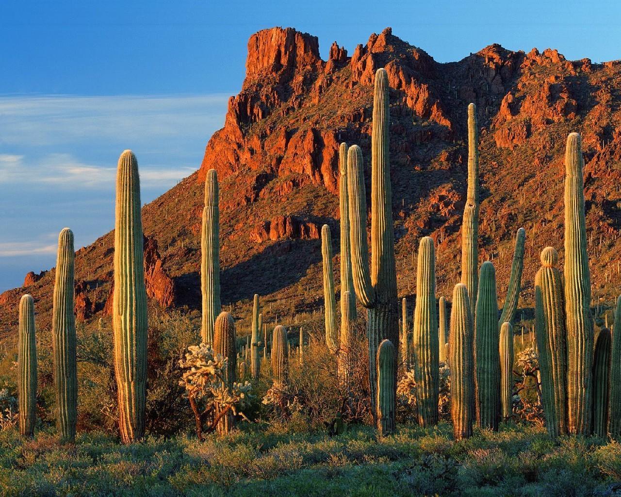 Arizona Landscape Wallpapers - Top Free Arizona Landscape Backgrounds ...