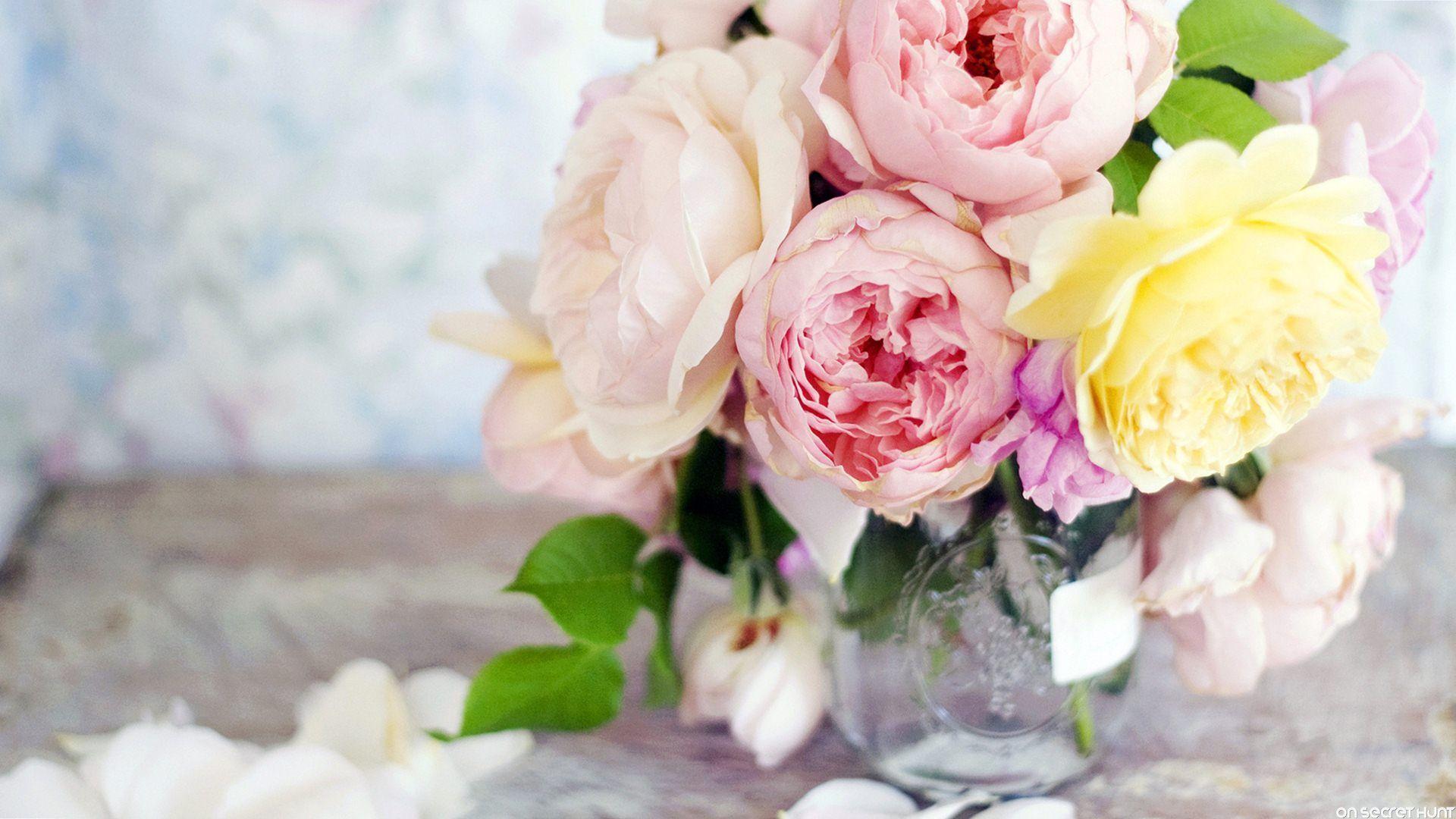Ranunculus Wallpapers - Top Free Ranunculus Backgrounds - WallpaperAccess