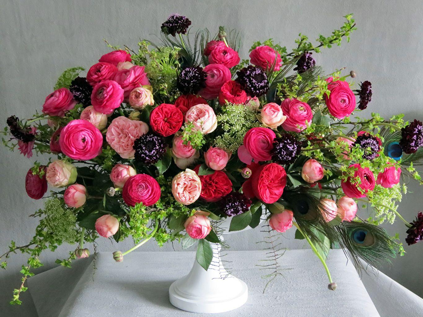 Ranunculus Wallpapers - Top Free Ranunculus Backgrounds - WallpaperAccess