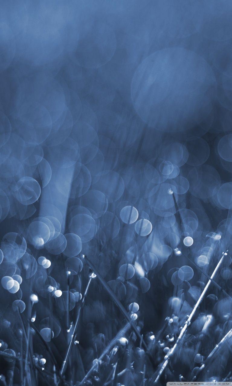 Blue Grass Wallpapers - Top Free Blue Grass Backgrounds - WallpaperAccess