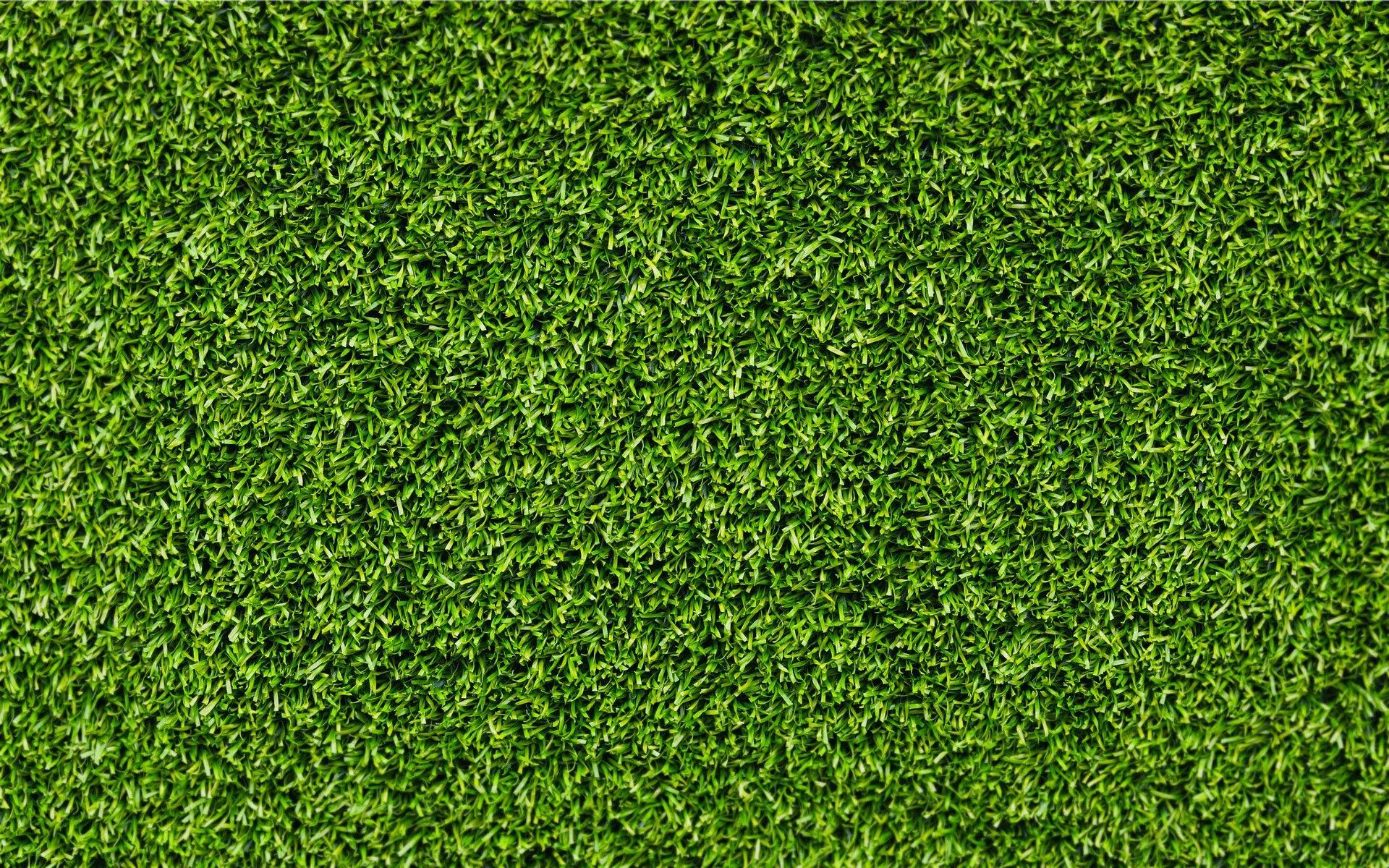 Grass Desktop Wallpapers - Top Free Grass Desktop Backgrounds ...