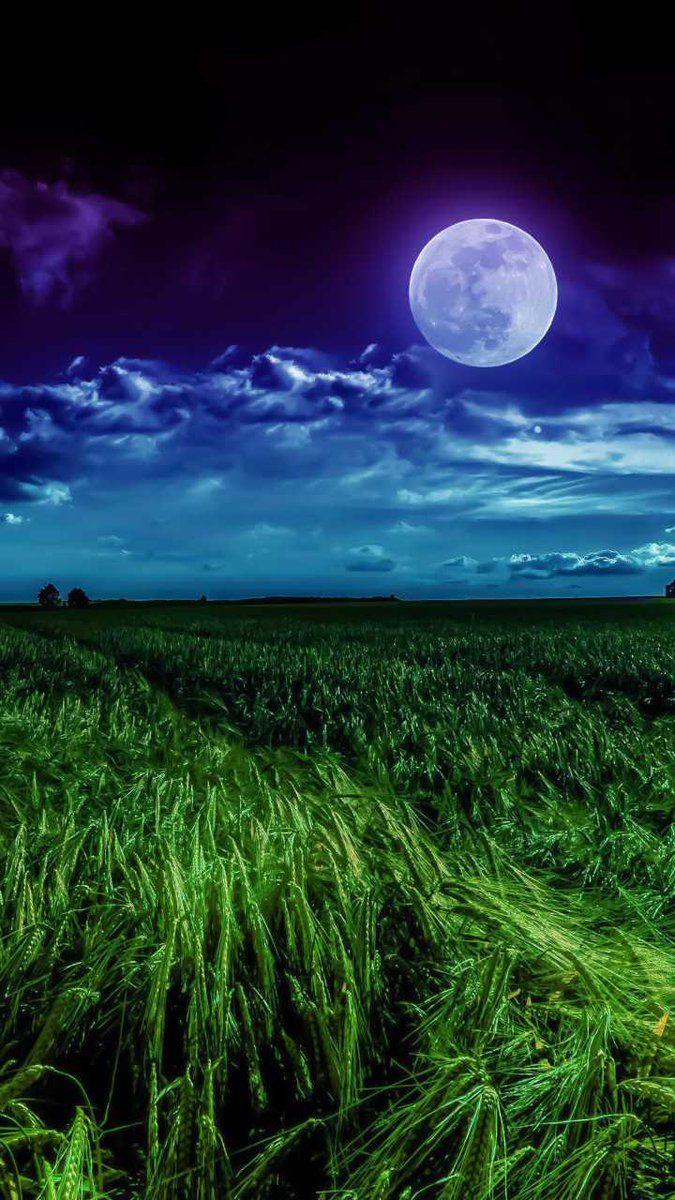 Blue Grass Wallpapers - Top Free Blue Grass Backgrounds - WallpaperAccess
