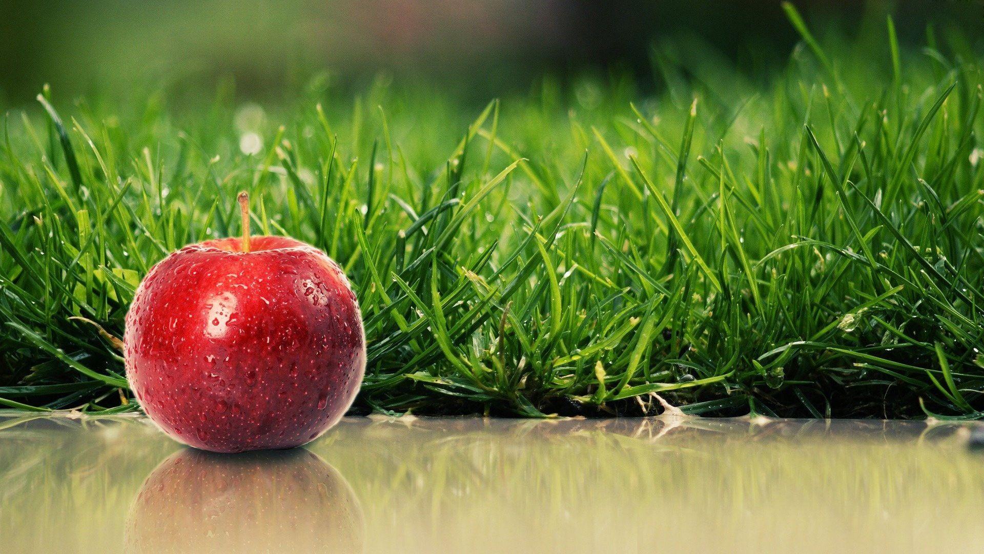 Grass Desktop Wallpapers - Top Free Grass Desktop Backgrounds ...