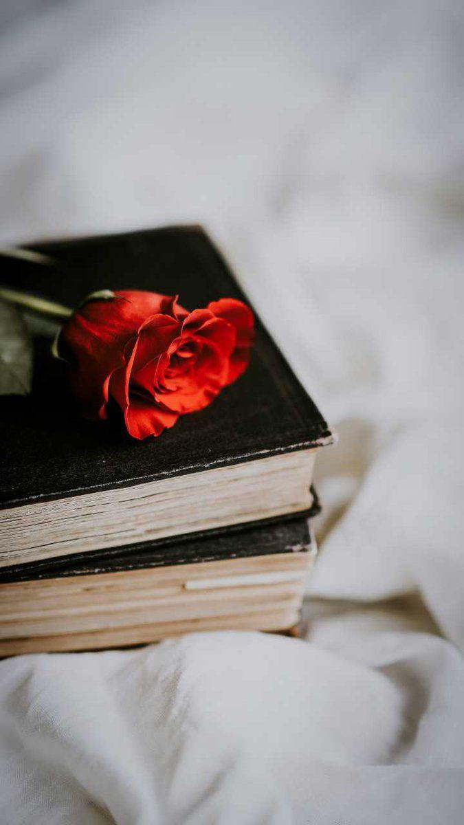 Red Book Wallpapers - Top Free Red Book Backgrounds - WallpaperAccess