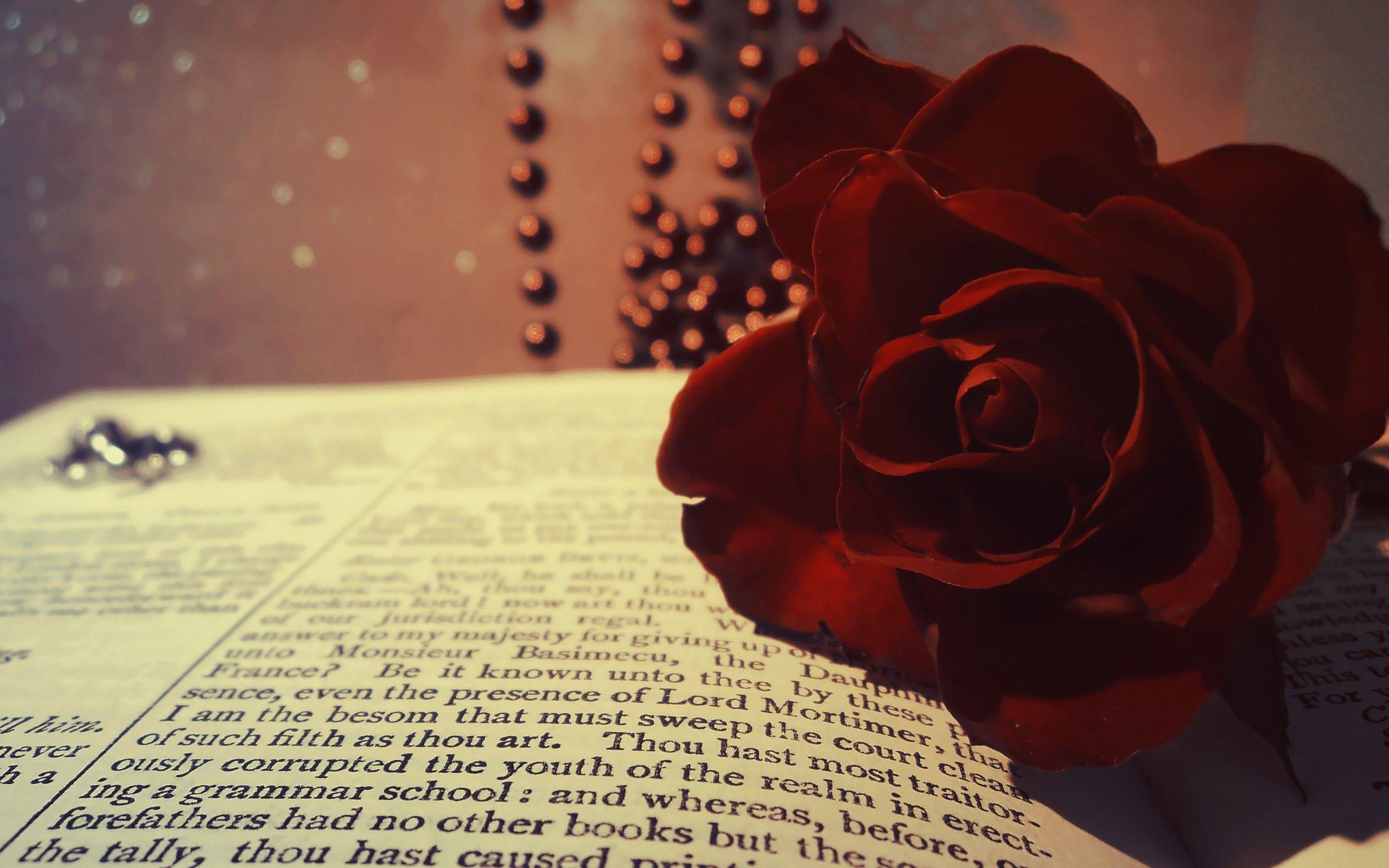 Red Book Wallpapers - Top Free Red Book Backgrounds - WallpaperAccess