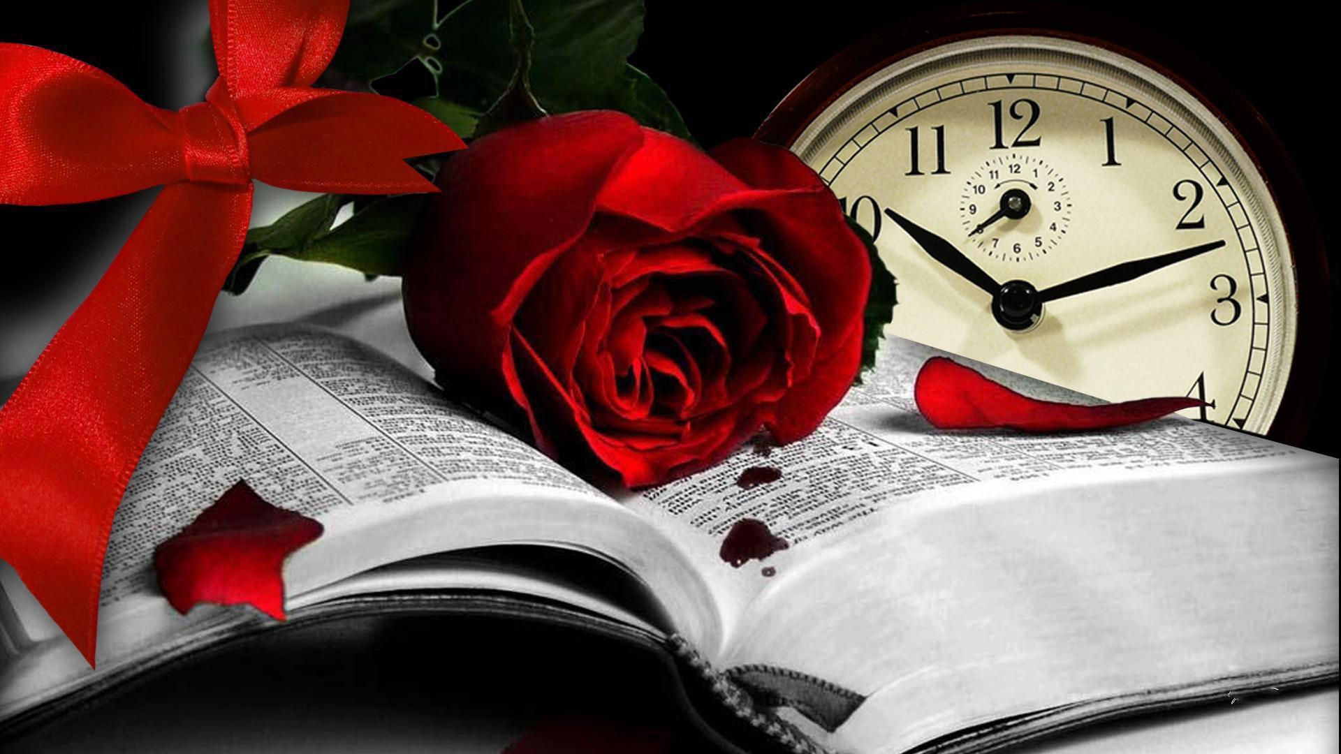 Red Book Wallpapers - Top Free Red Book Backgrounds - WallpaperAccess