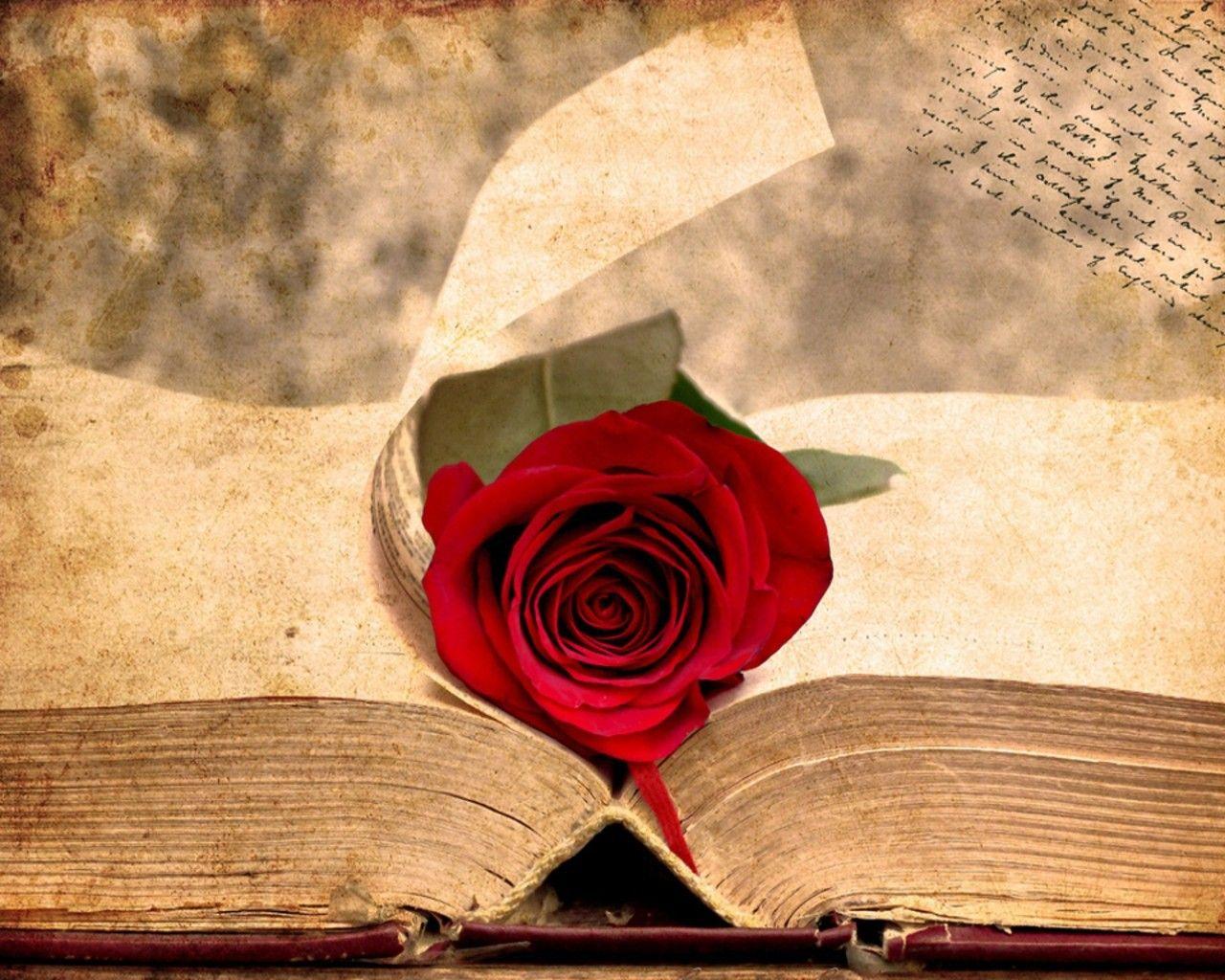 Red Book Wallpapers - Top Free Red Book Backgrounds - WallpaperAccess