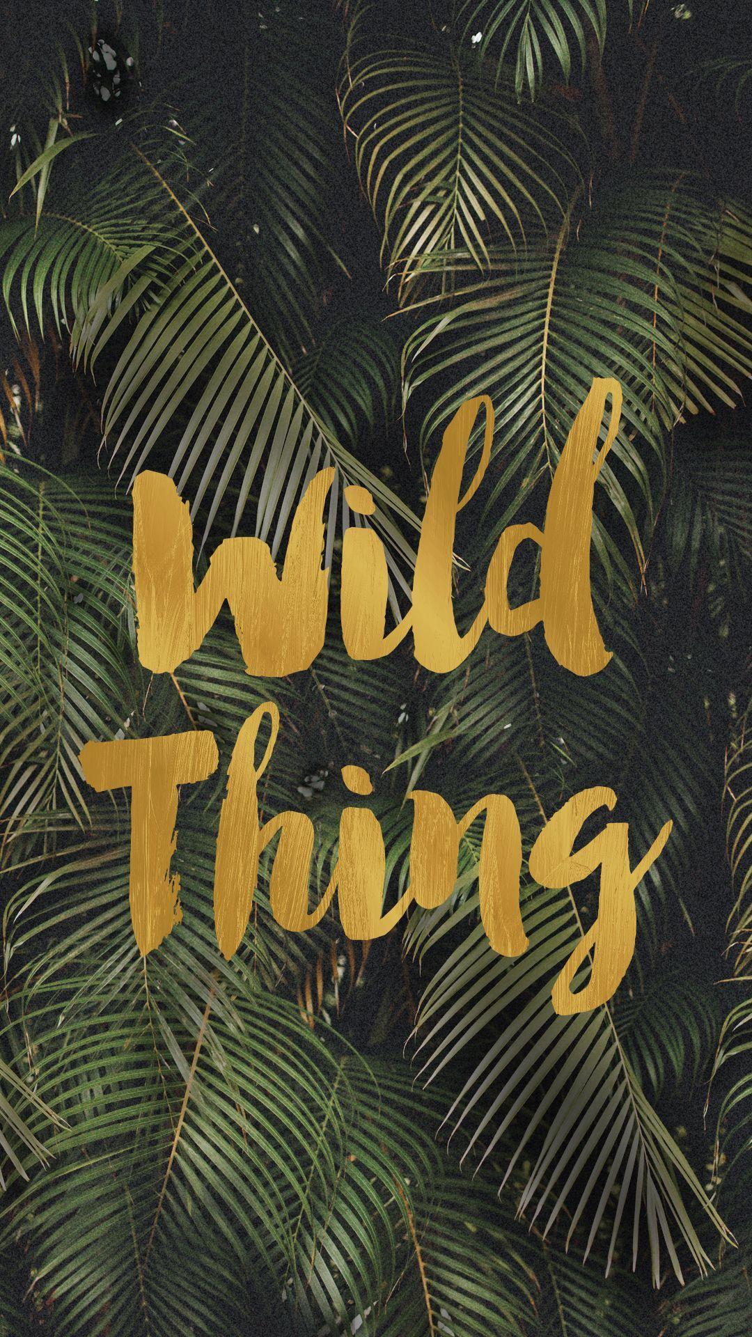 Wild iPhone Wallpapers - Top Free Wild iPhone Backgrounds - WallpaperAccess