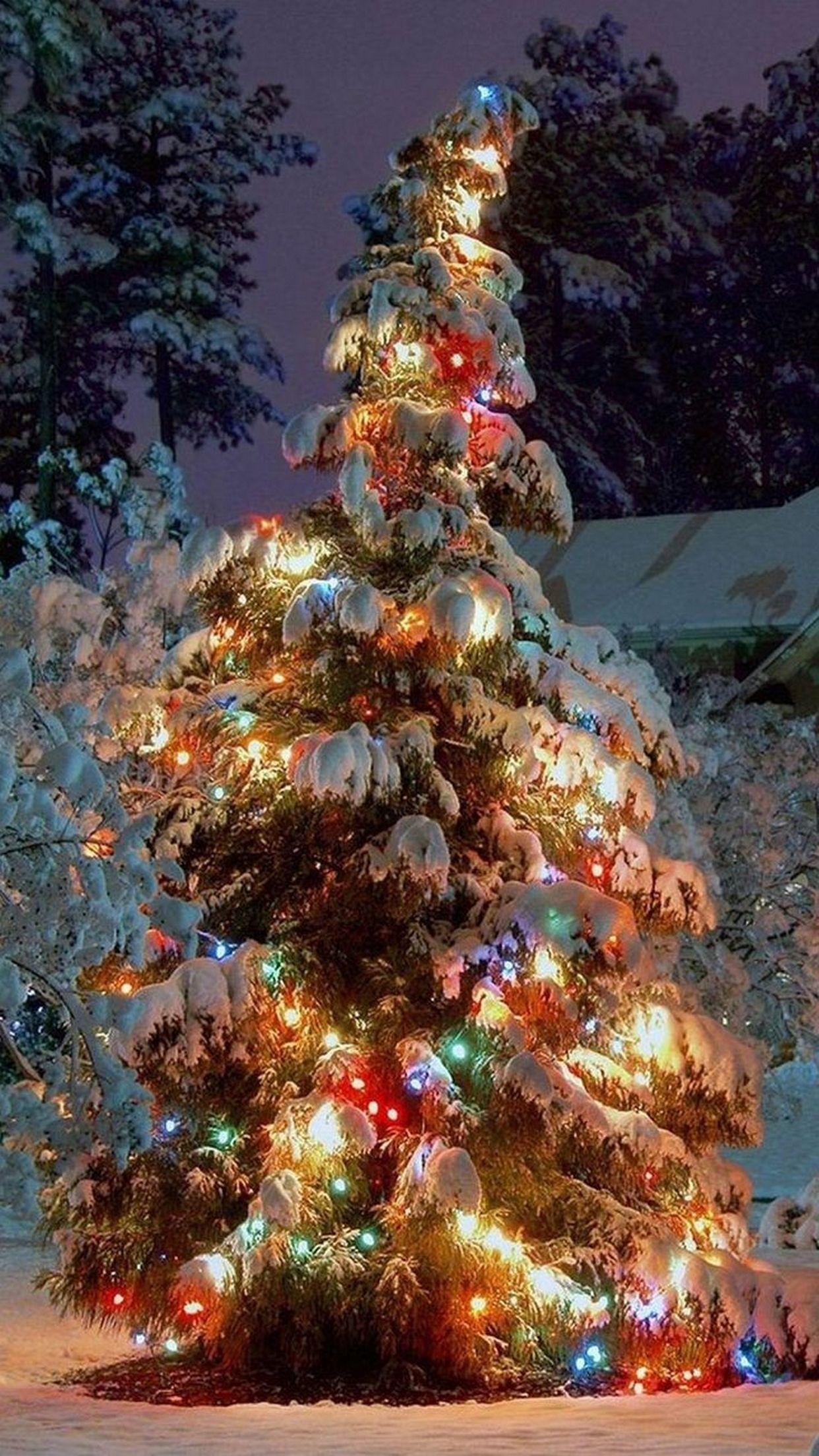 Christmas Tree iPhone Wallpapers - Top Free Christmas Tree iPhone ...