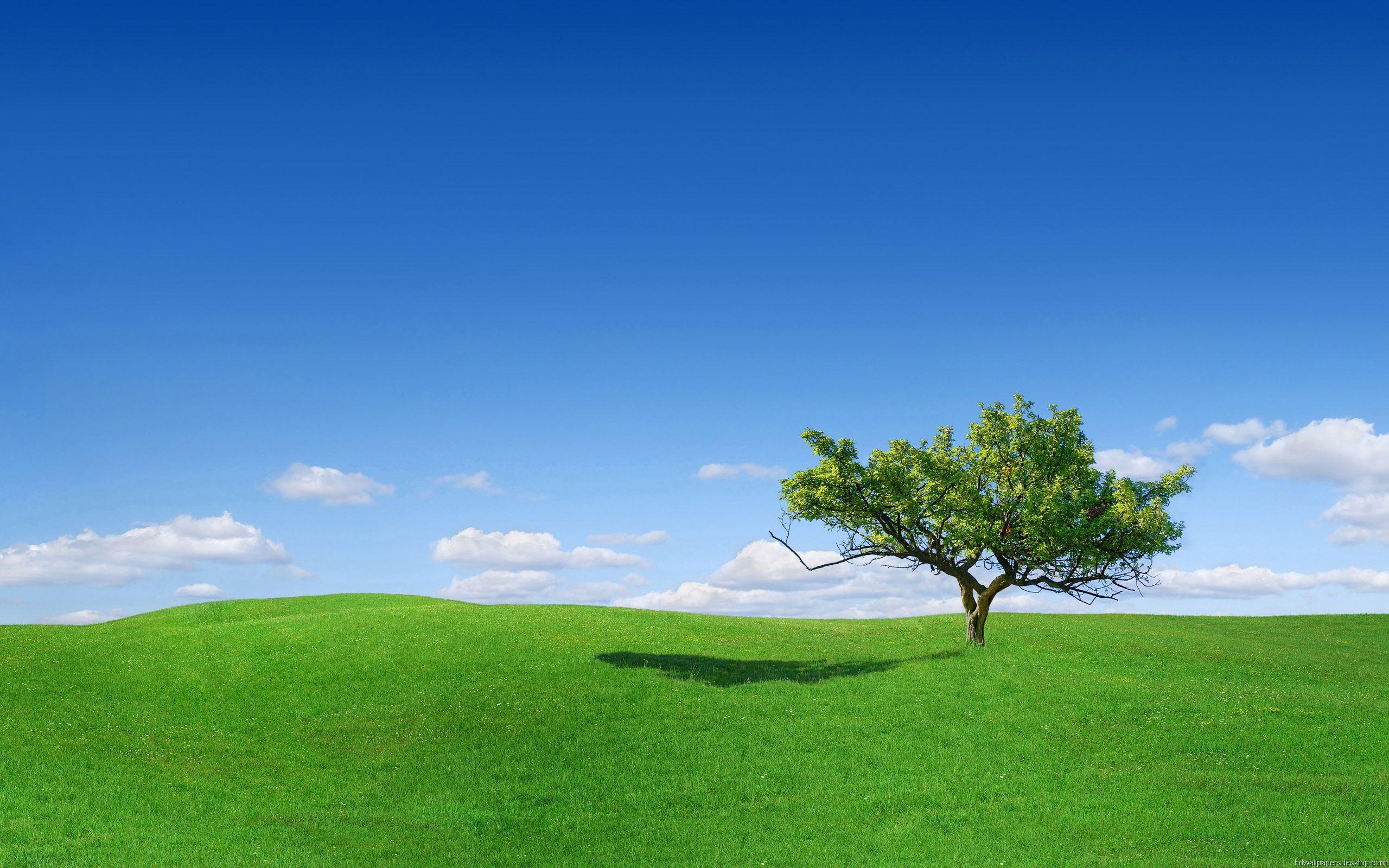 HD Green Landscape Wallpapers - Top Free HD Green Landscape Backgrounds ...