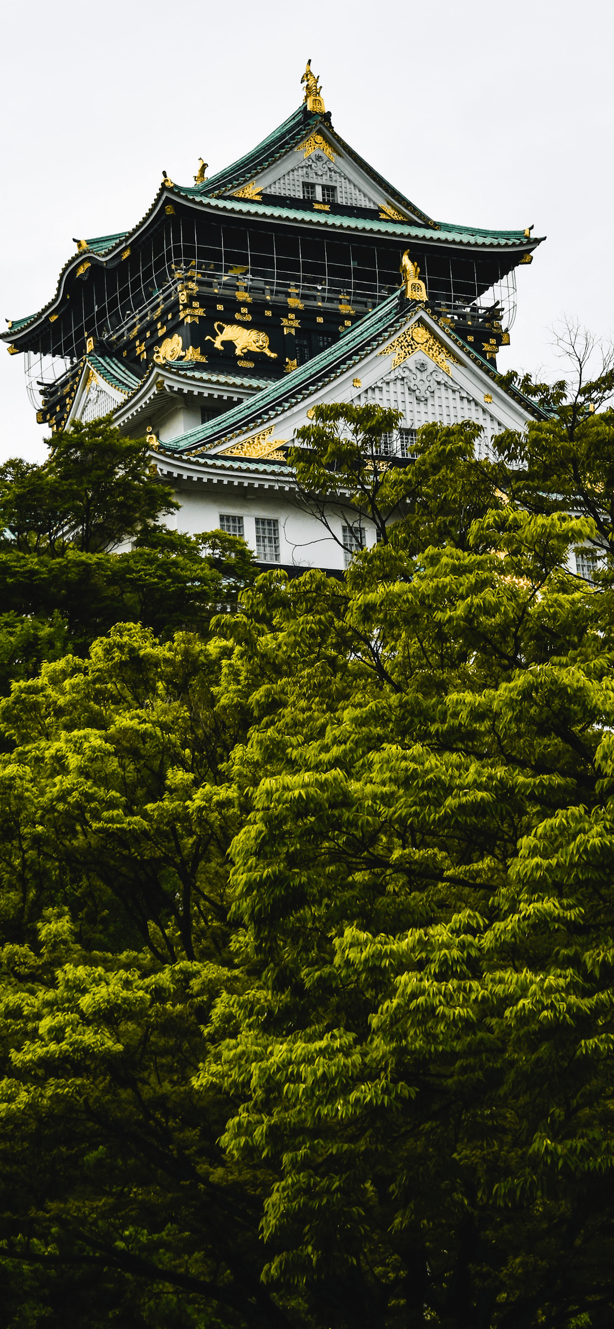 Osaka Temple Wallpapers - Top Free Osaka Temple Backgrounds ...