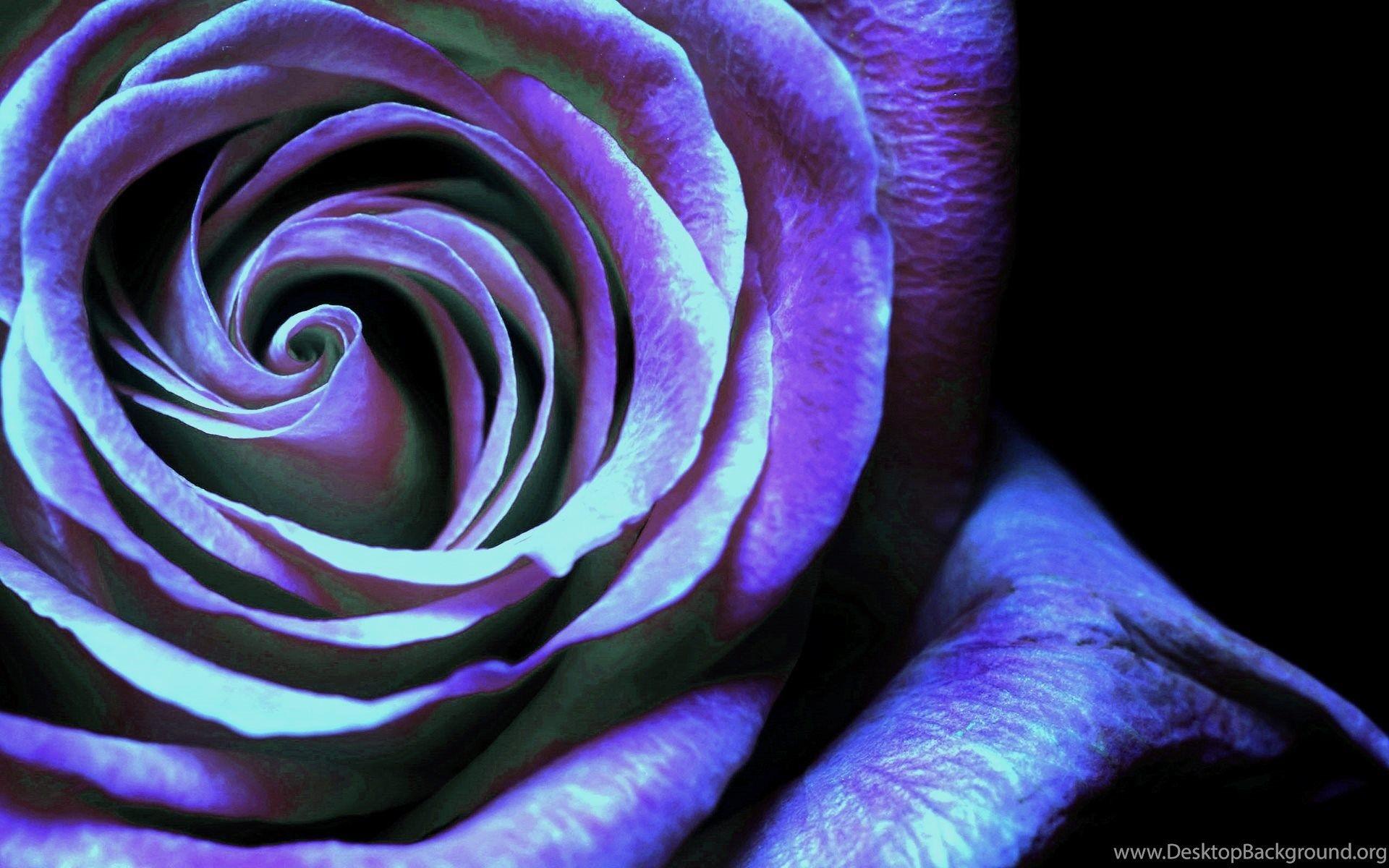 Purple and Turquoise Wallpapers - Top Free Purple and Turquoise ...