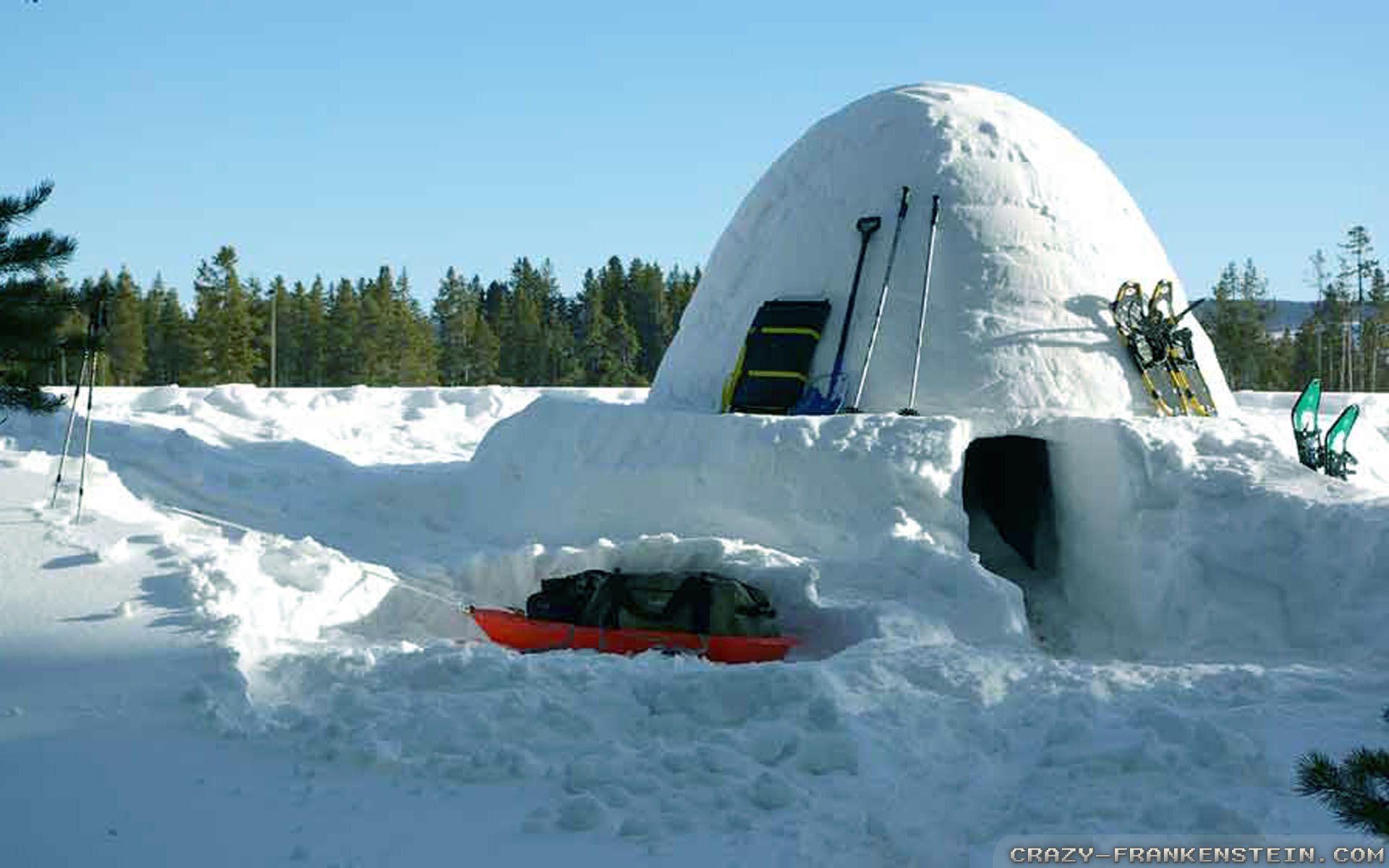 Cool Camping Desktop Wallpapers - Top Free Cool Camping Desktop ...