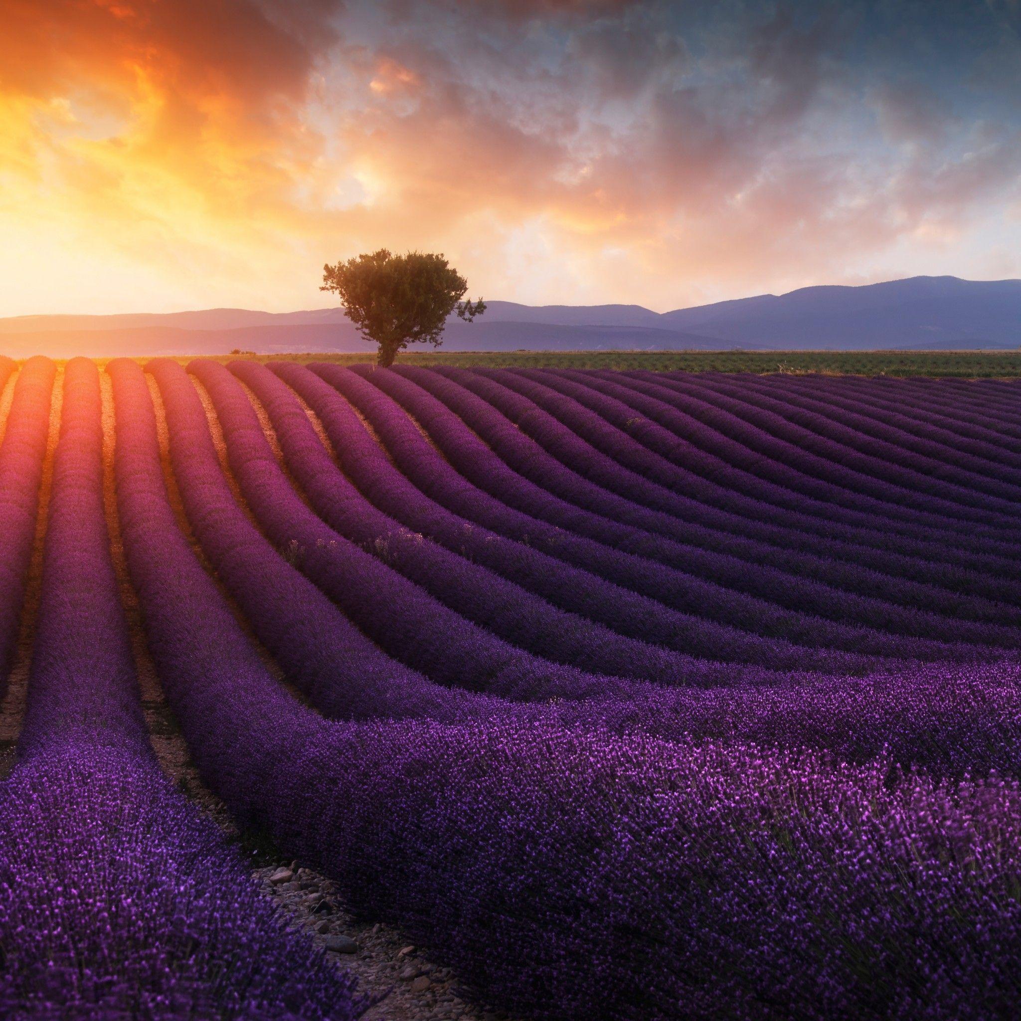 Cute Farm Landscapes Wallpapers - Top Free Cute Farm Landscapes ...