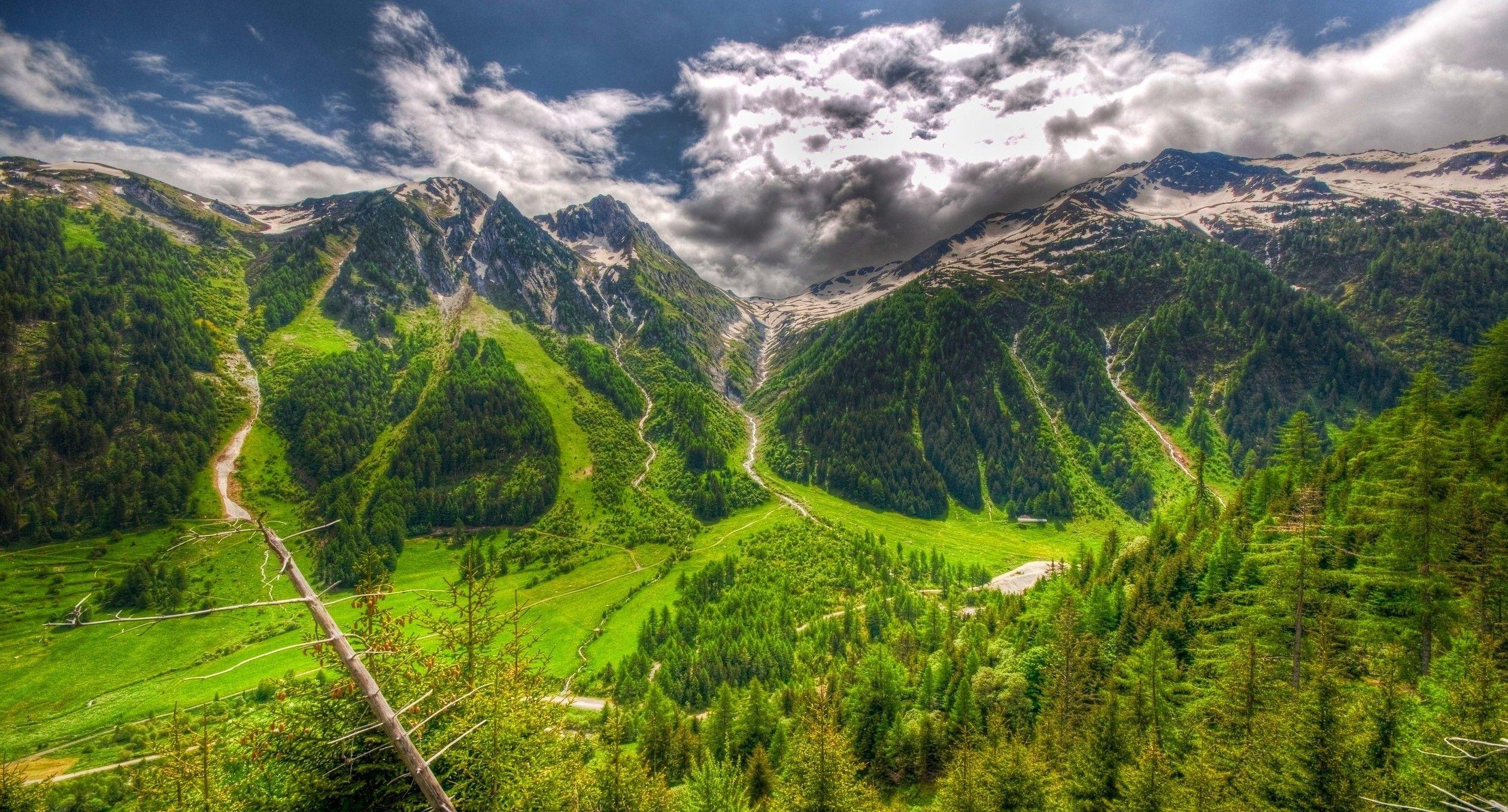 Mountain Forest HD Wallpapers - Top Free Mountain Forest HD Backgrounds ...