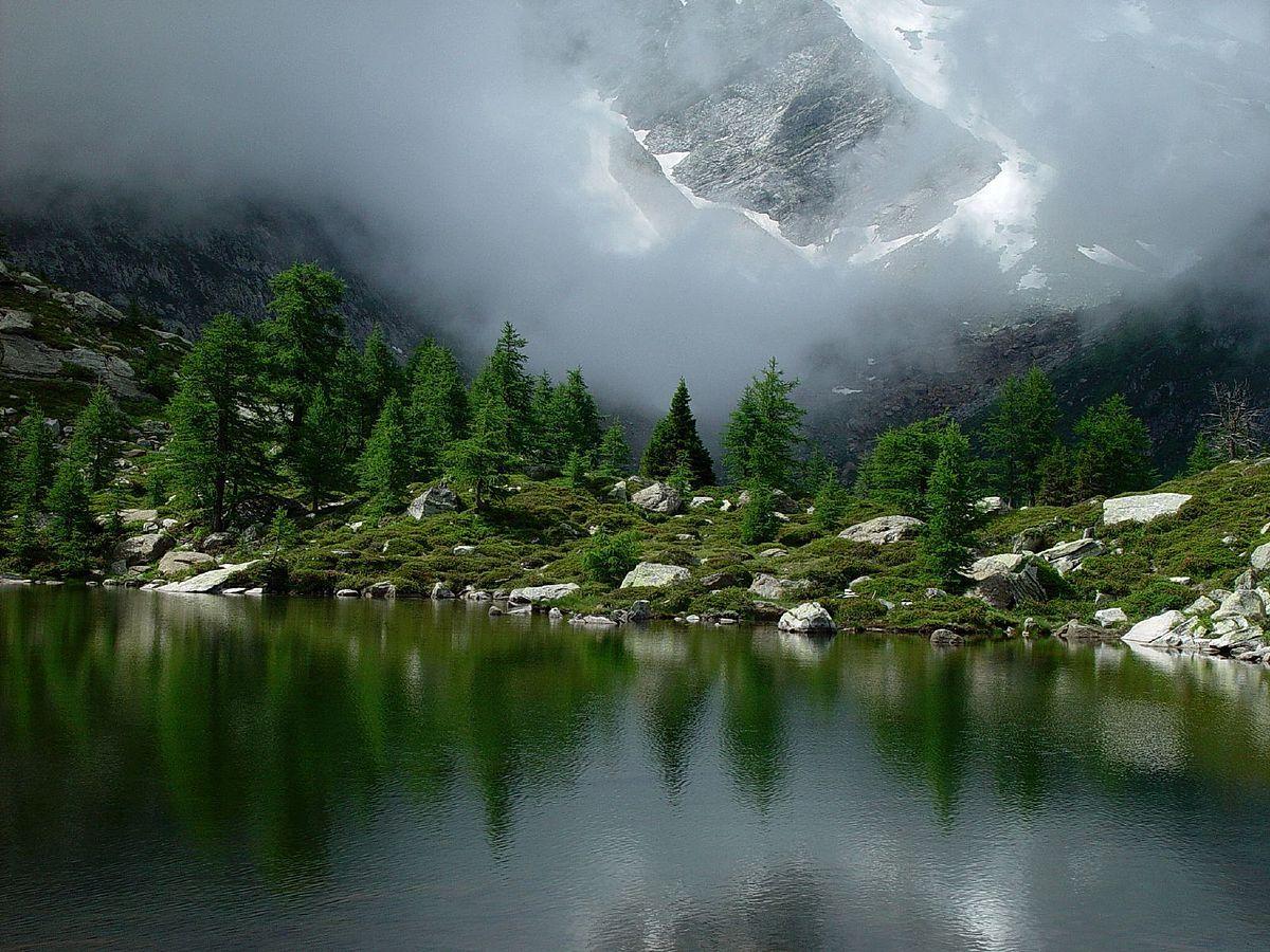 Mountain Forest HD Wallpapers - Top Free Mountain Forest HD Backgrounds ...