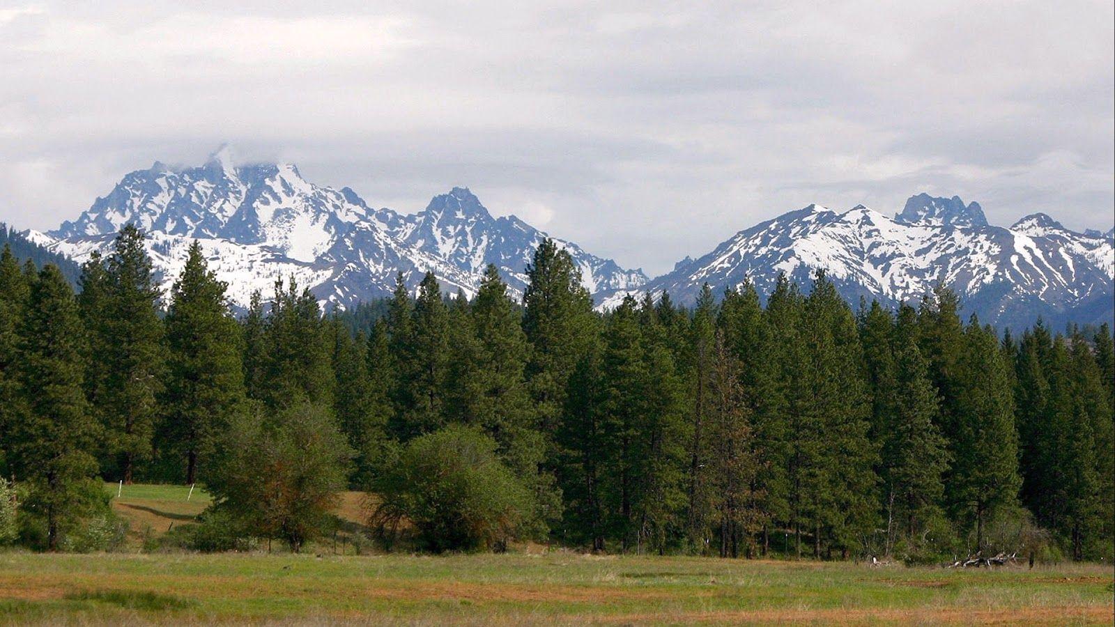 Mountain Forest HD Wallpapers - Top Free Mountain Forest HD Backgrounds ...